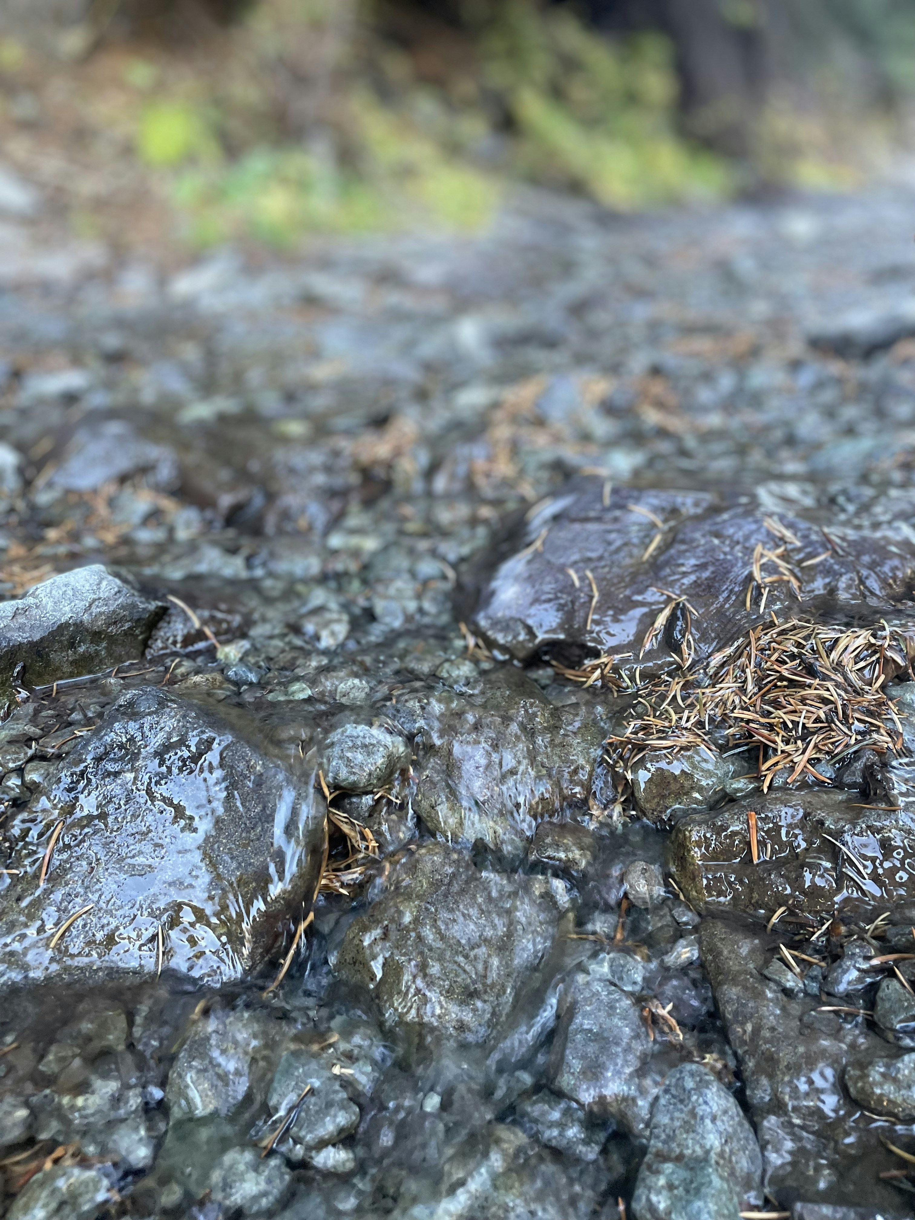 A Quiet Stream Weighs Its Stones