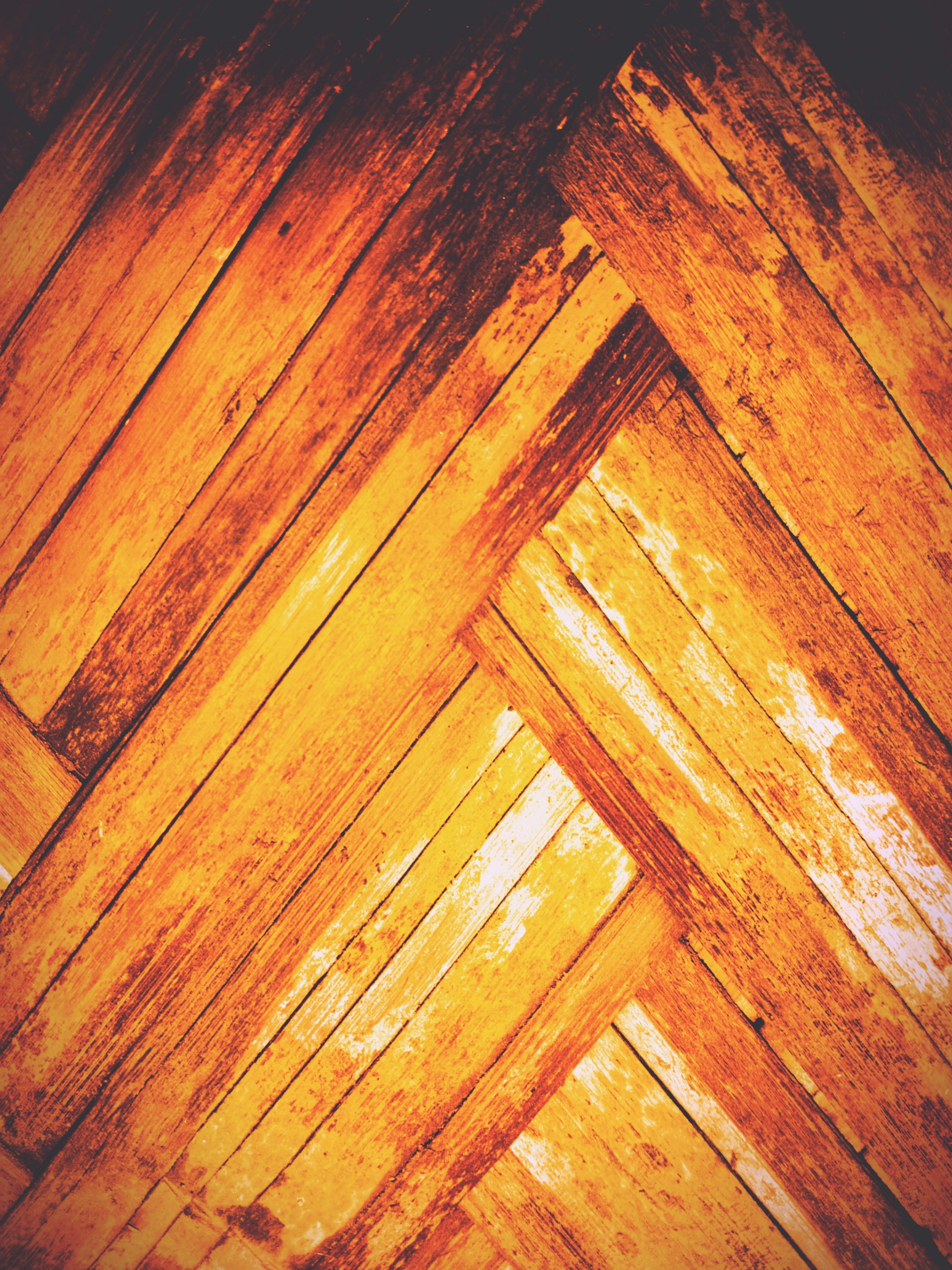 Sample photo from Vivo Y20