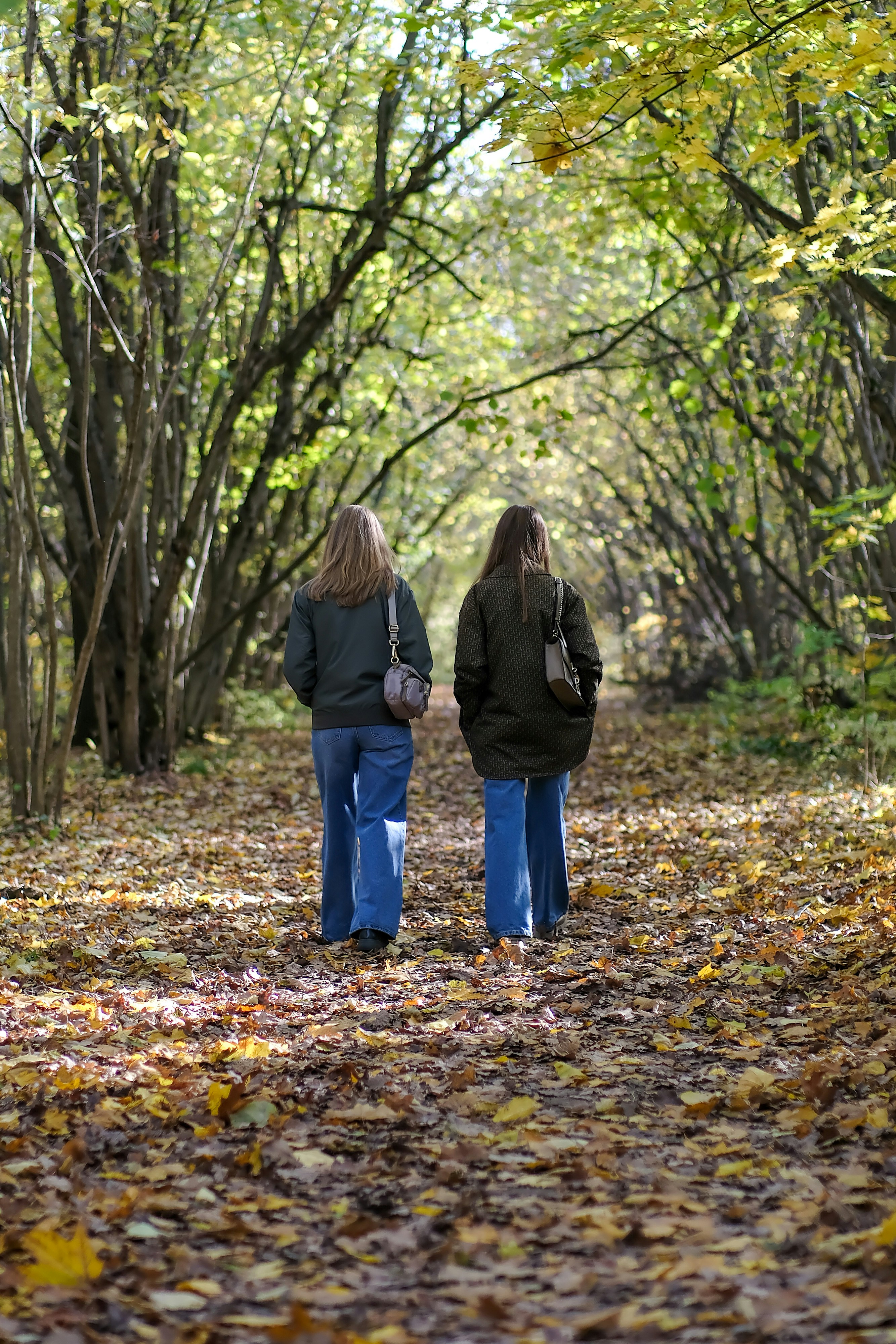 Two women walking on a path in the woods photo – Free Москва Image on ...