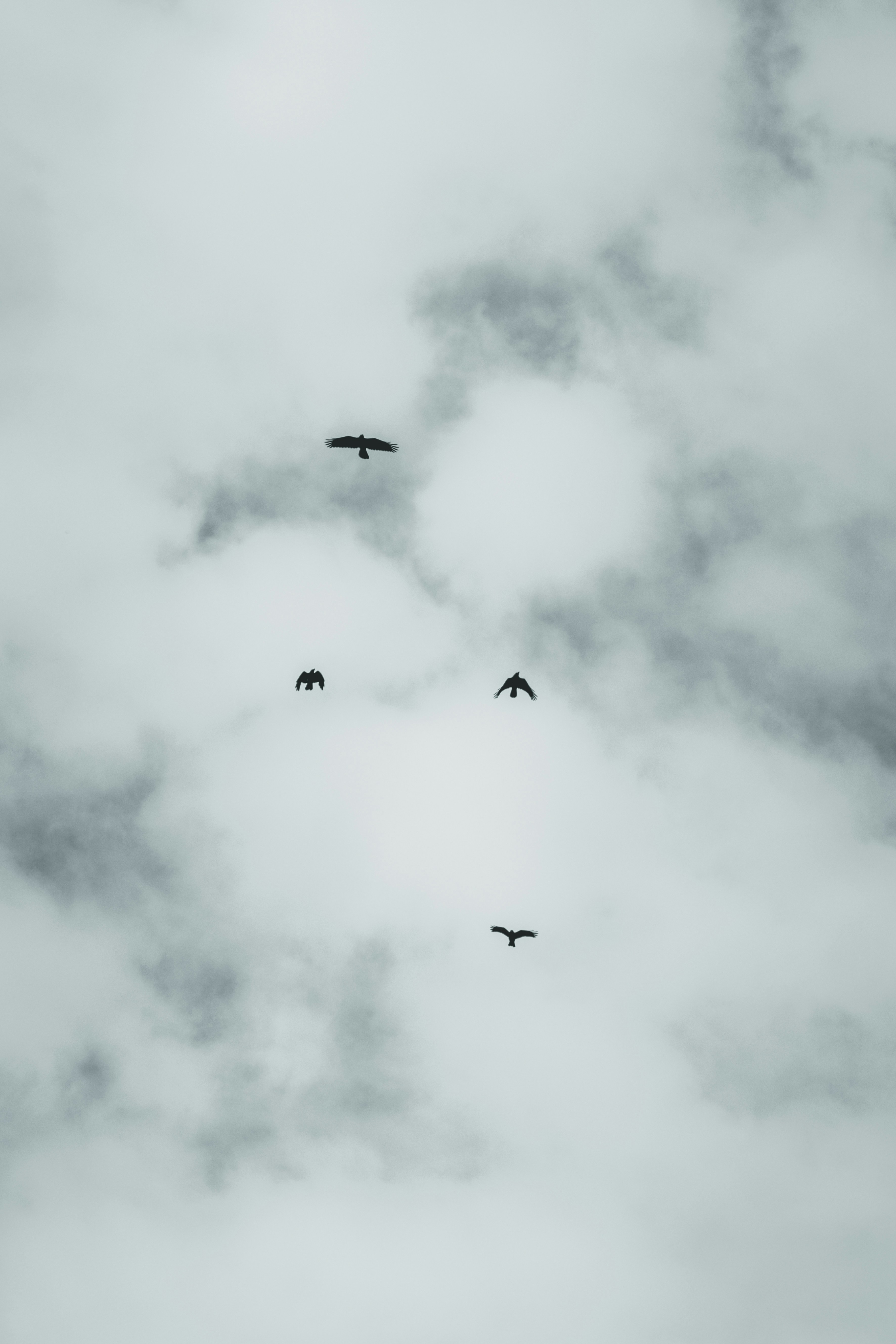 a group of planes flying in the sky