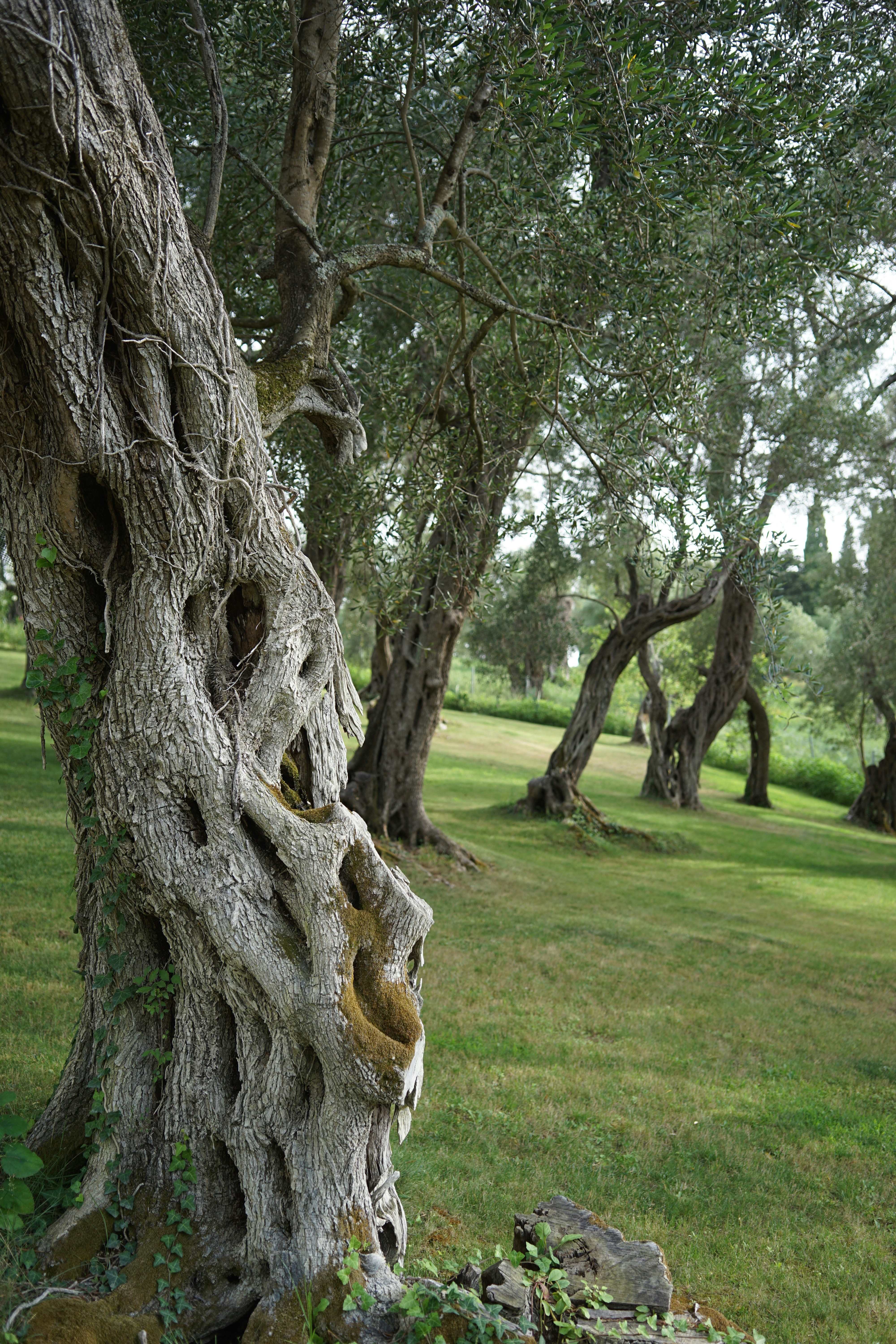 Photo by Self Taught with Sony Alpha 7 II