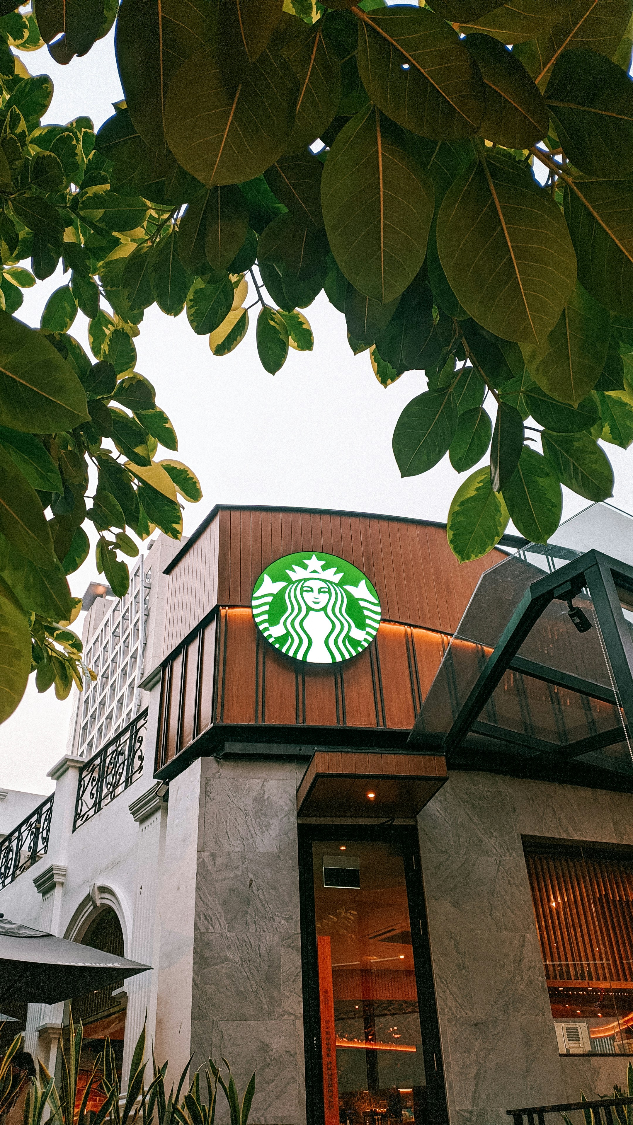 Starbucks storefront framed by lush green leaves, showcasing the iconic logo against a modern architectural backdrop.