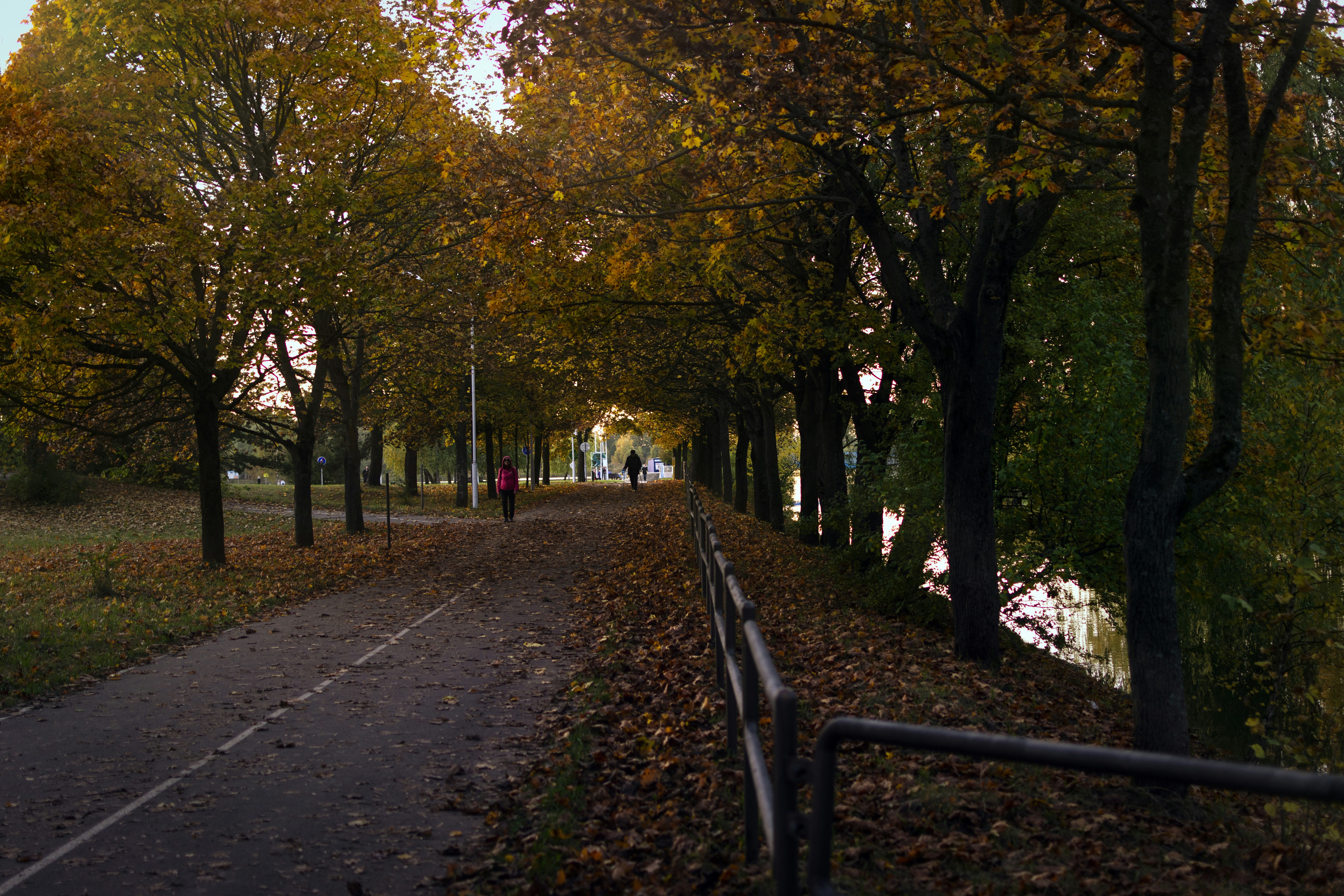 Photo by Evgeni Adutskevich with Nikon D5200