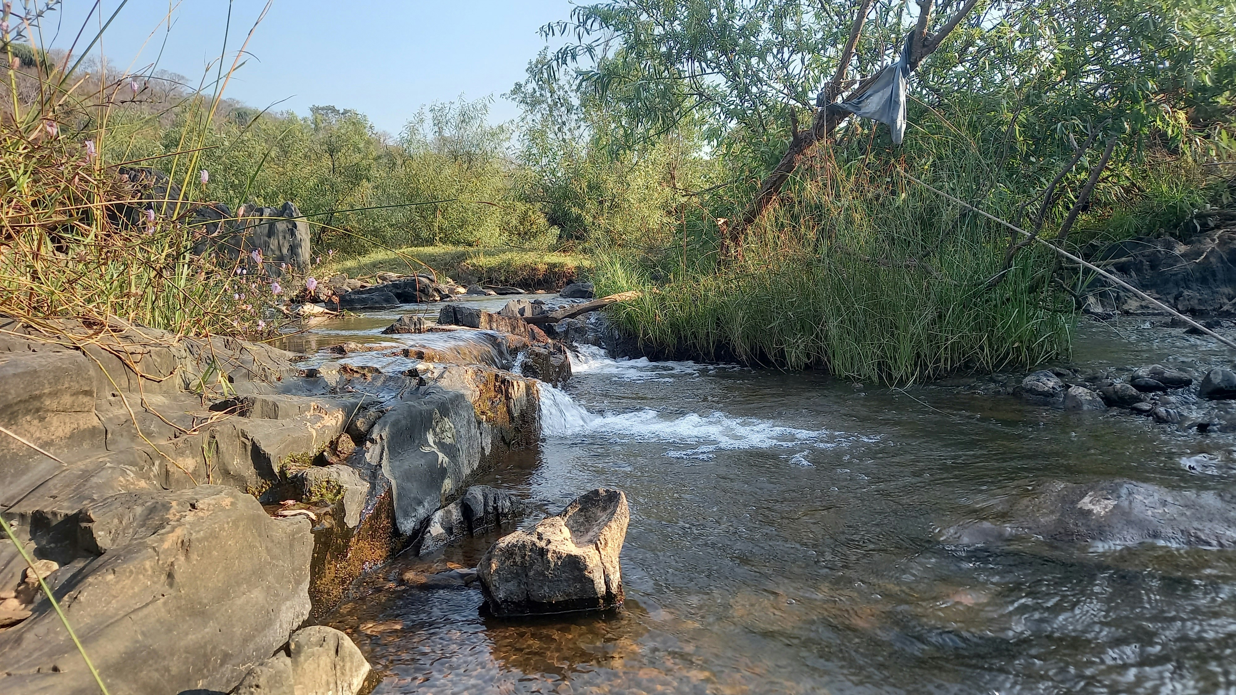 a river with rocks and trees