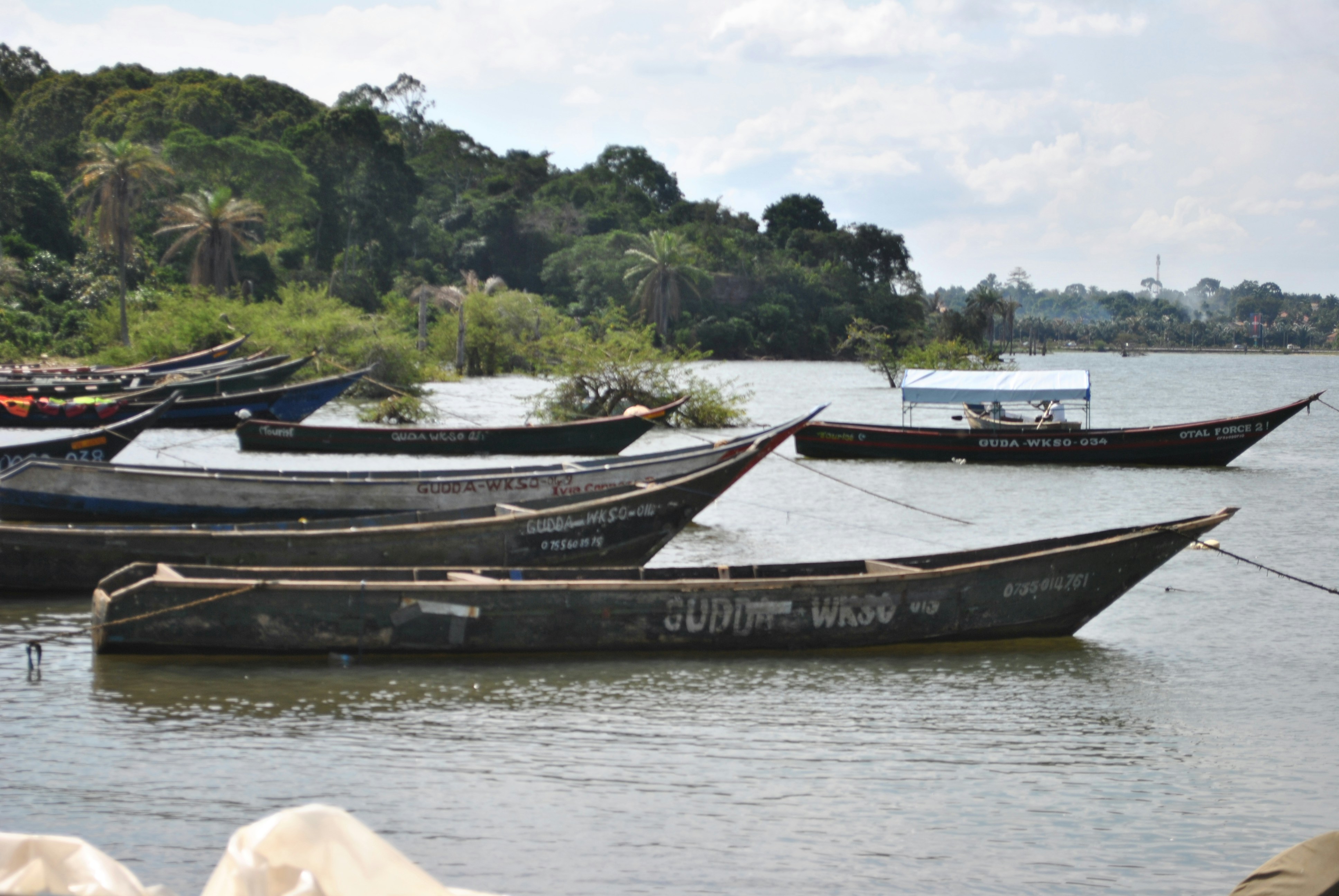 Harmony on the Water: A Day with Local Fishermen