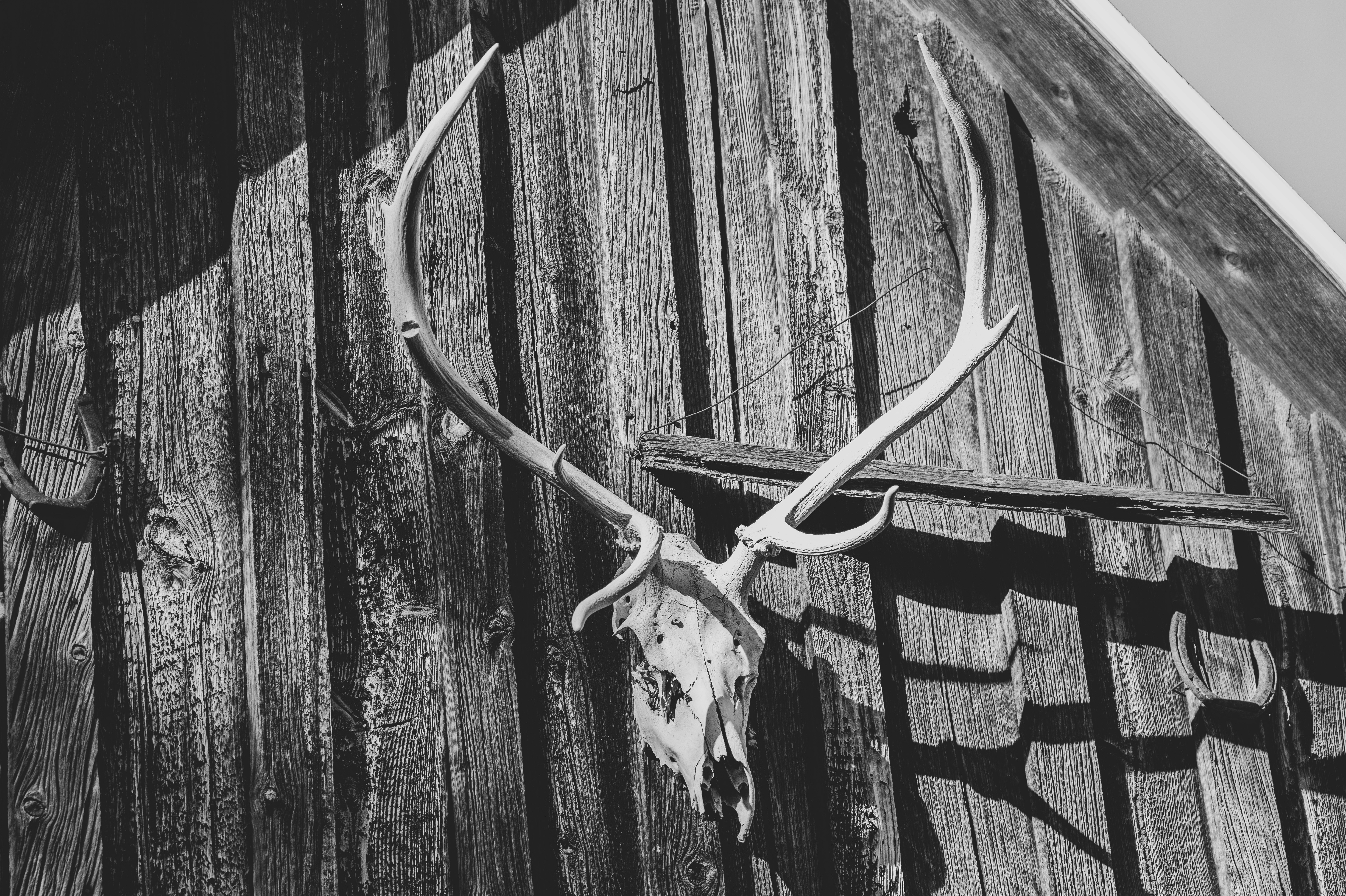 a wooden fence with a metal gate