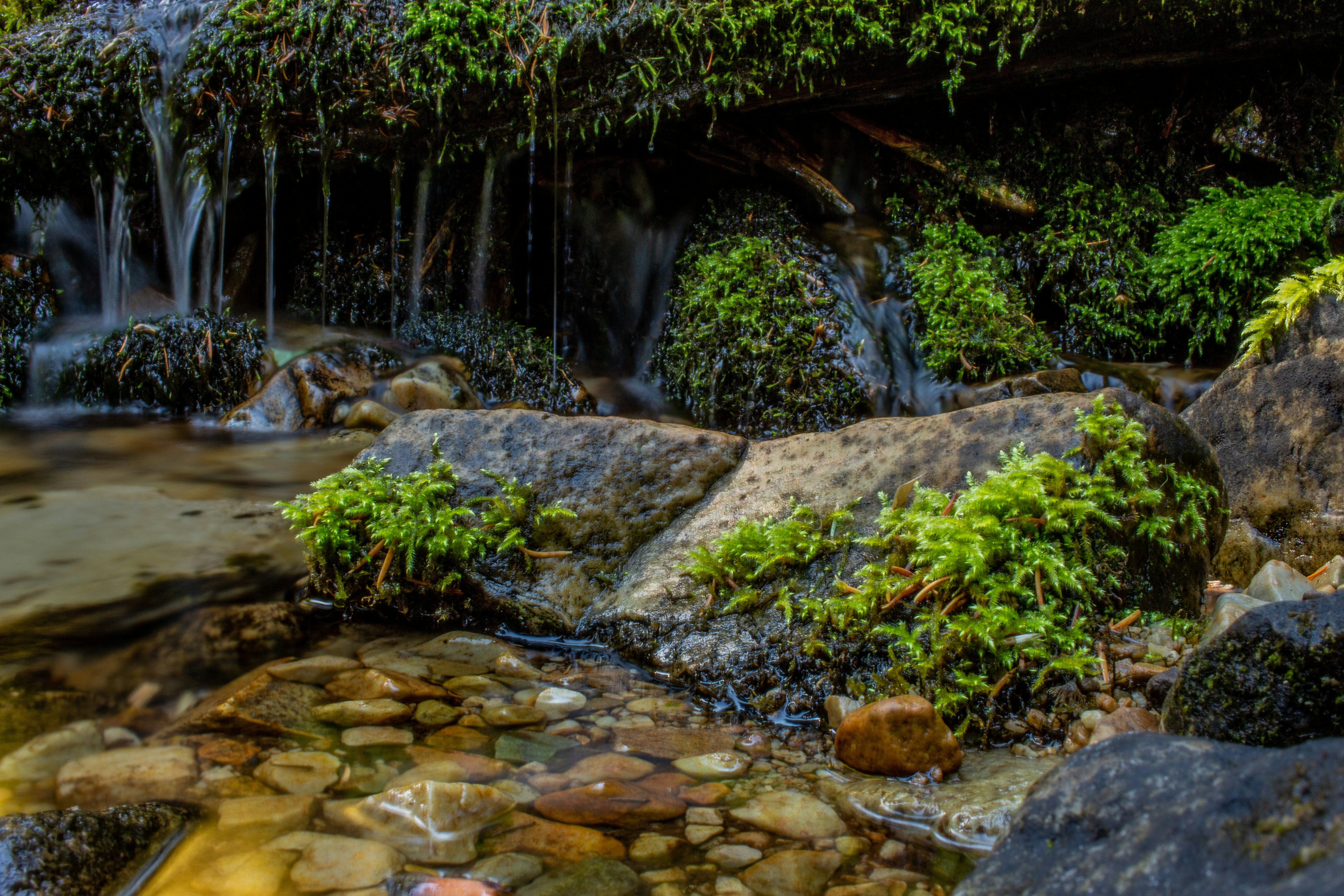 Mossy Stones and a Gentle Cascade Under Dappled Light