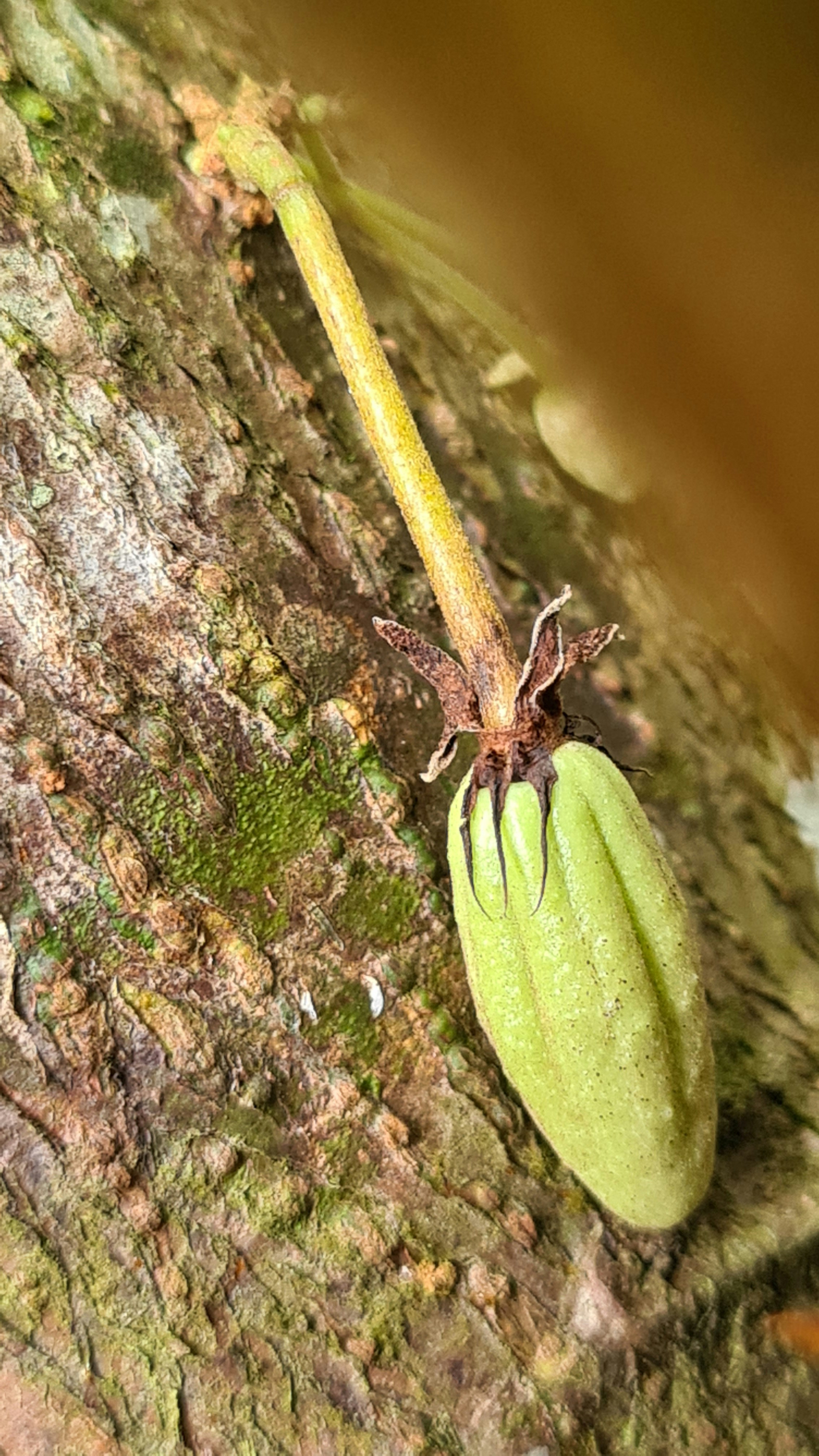 Perry Stevens (@perrytheimp) | Unsplash Photo Community