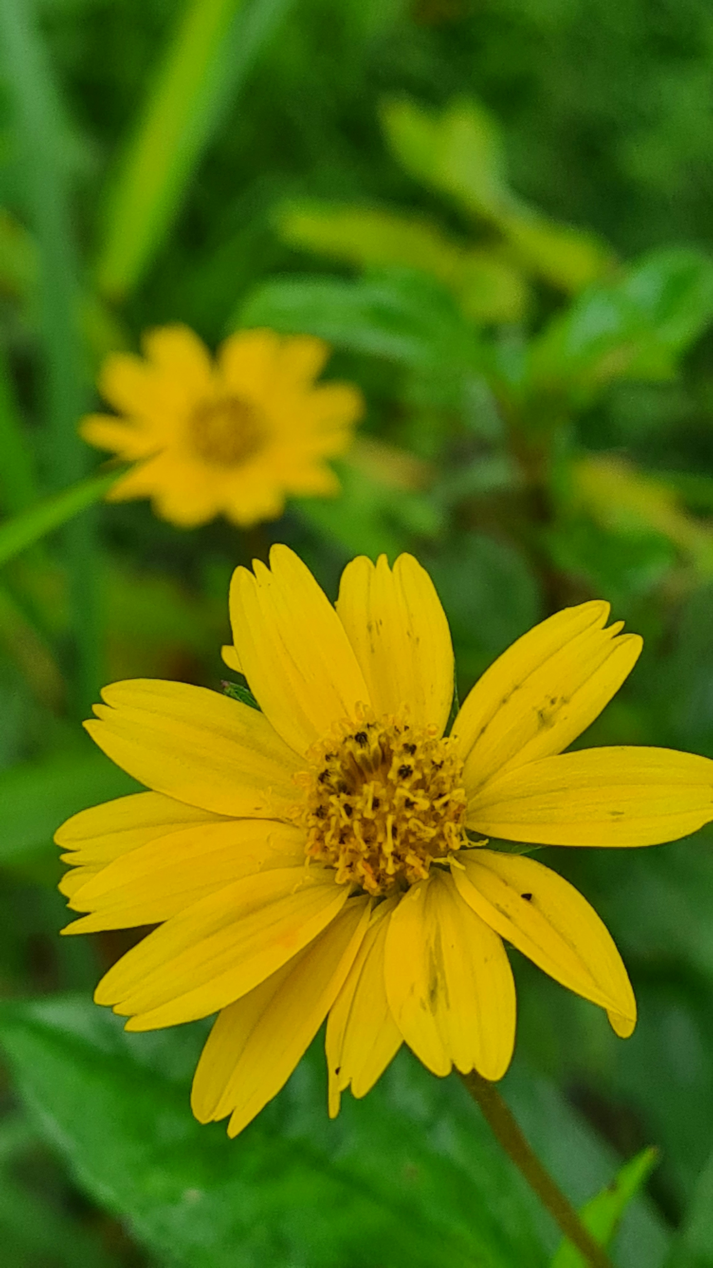 Perry Stevens (@perrytheimp) | Unsplash Photo Community