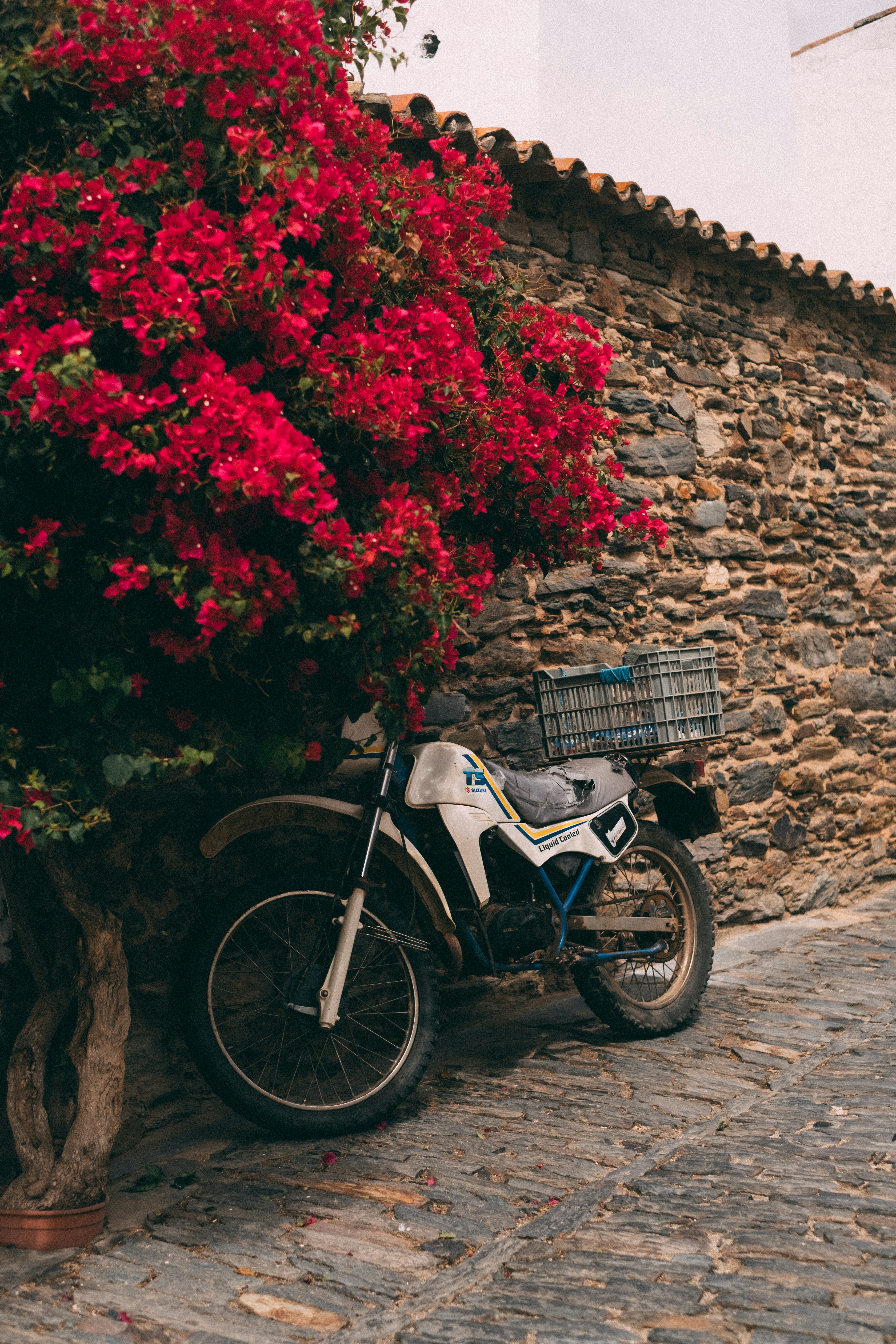 A vintage motorcycle rests against a stone wall, partially obscured by vibrant pink bougainvillea flowers. The scene evokes a sense of tranquility and nostalgia.