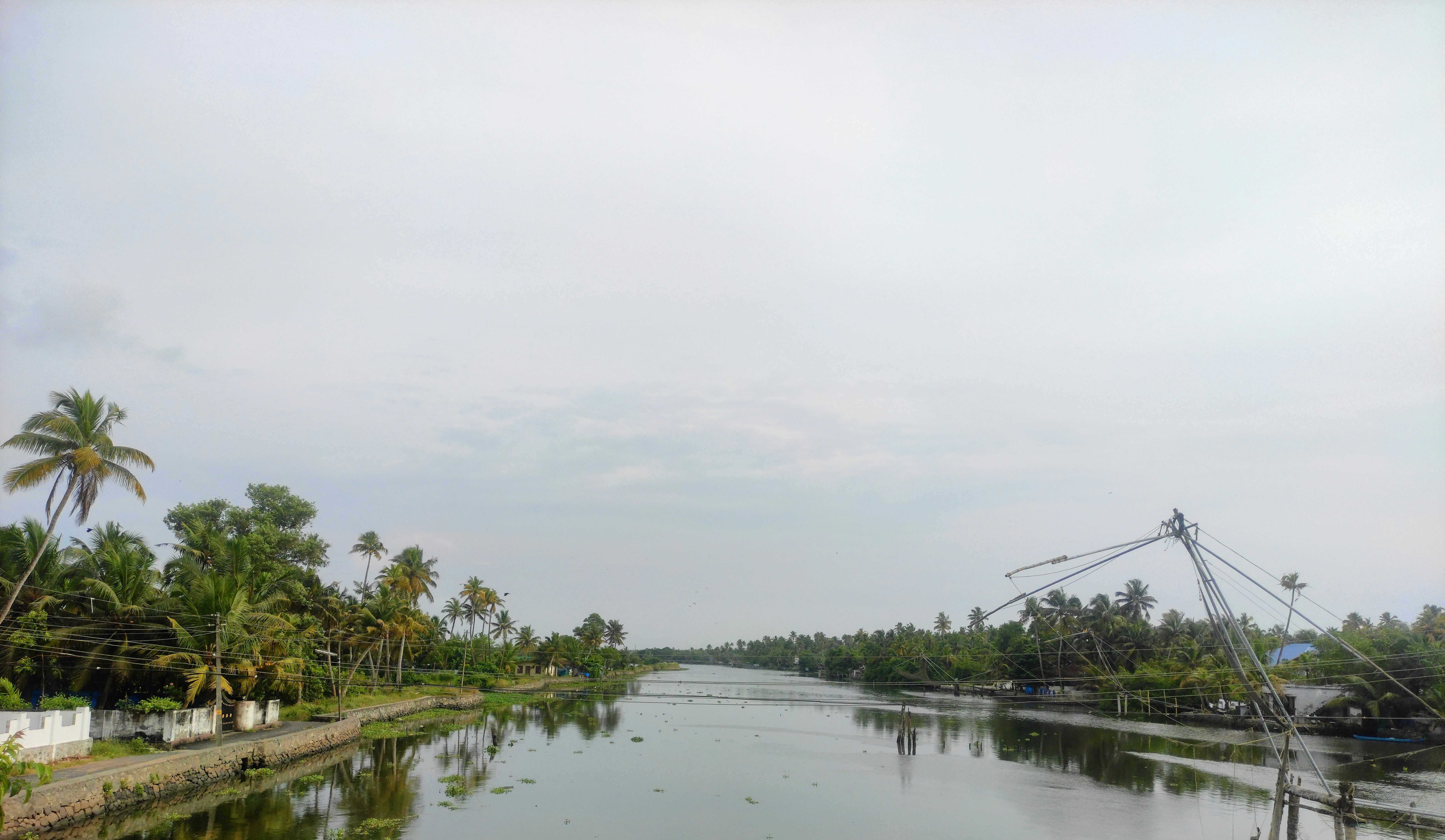 Lush palm trees line a tranquil river, reflecting the calm sky above, with fishing equipment hinting at local livelihoods.