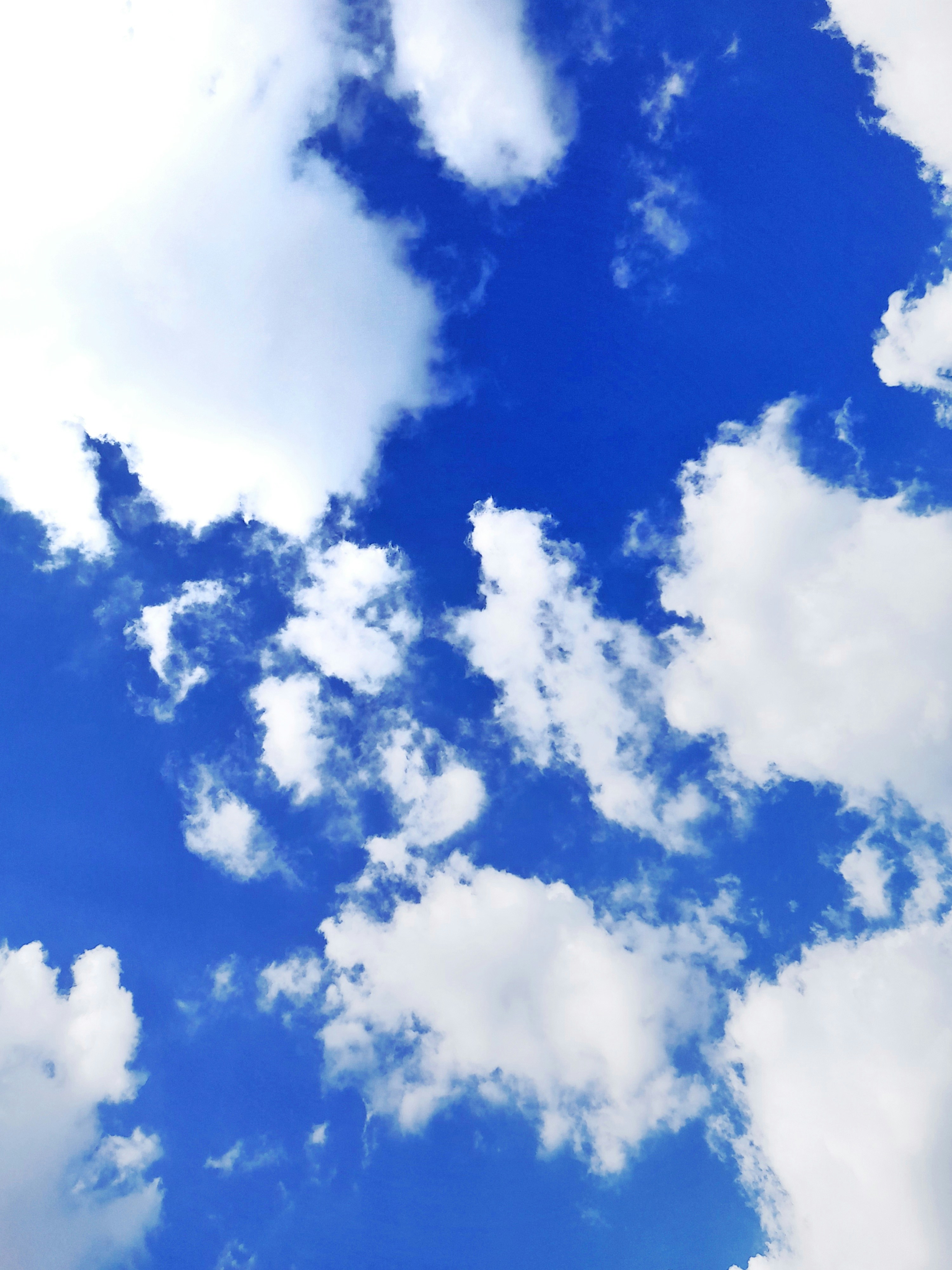 Backyard Photography (@backyardphotos) | Unsplash Photo Community