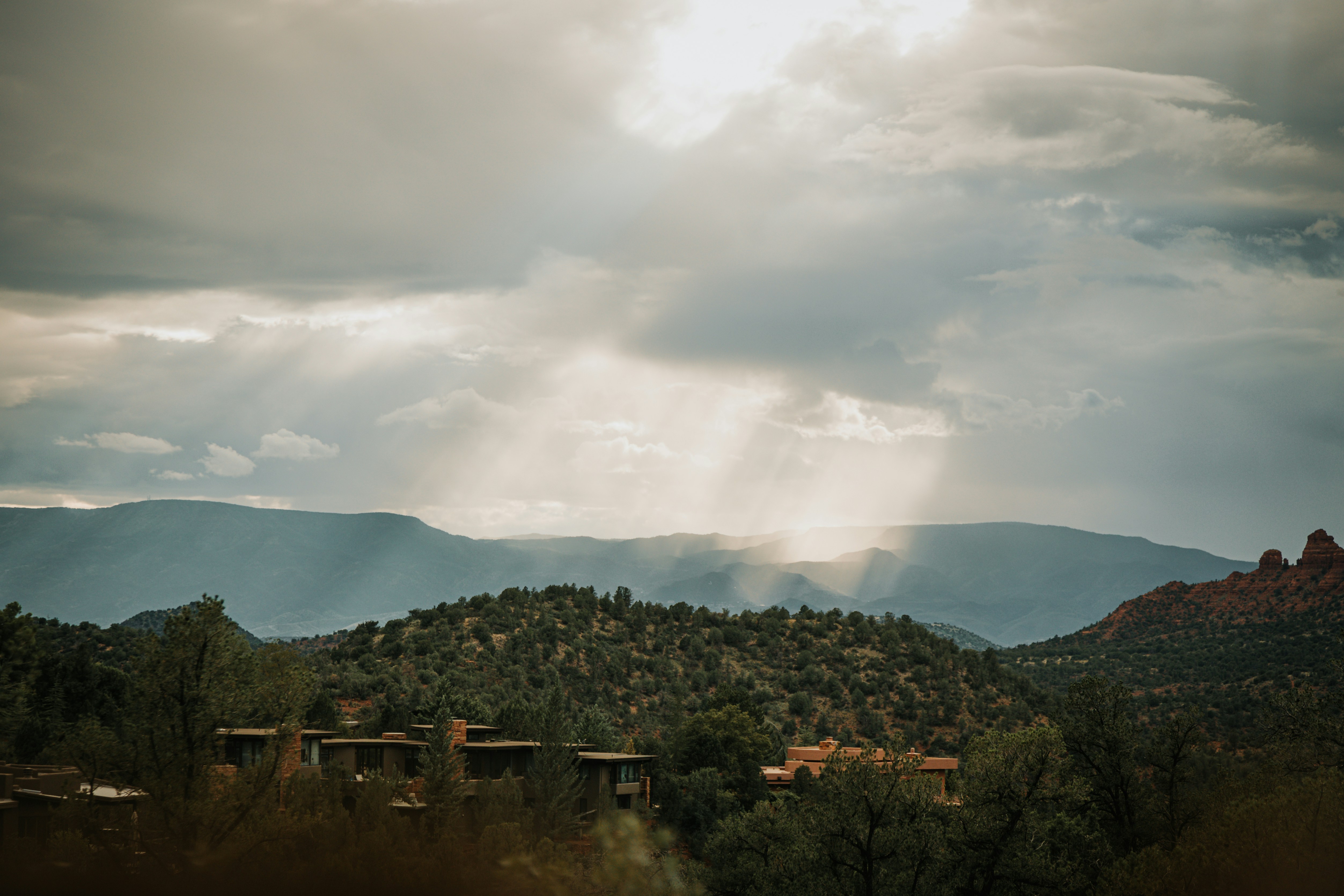 a landscape with trees and mountains