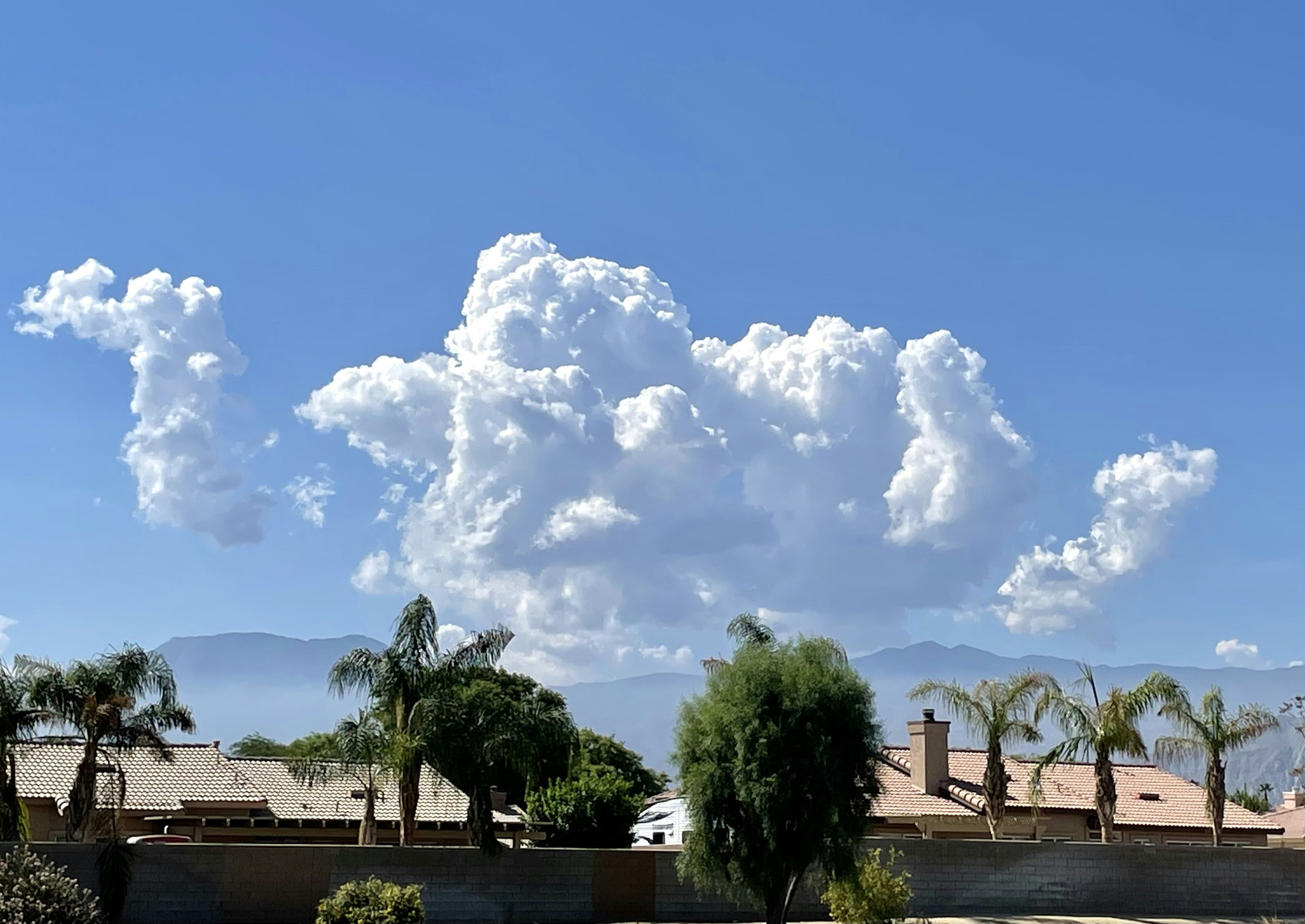 Cumulus Cathedral Over a Suburban Ridge