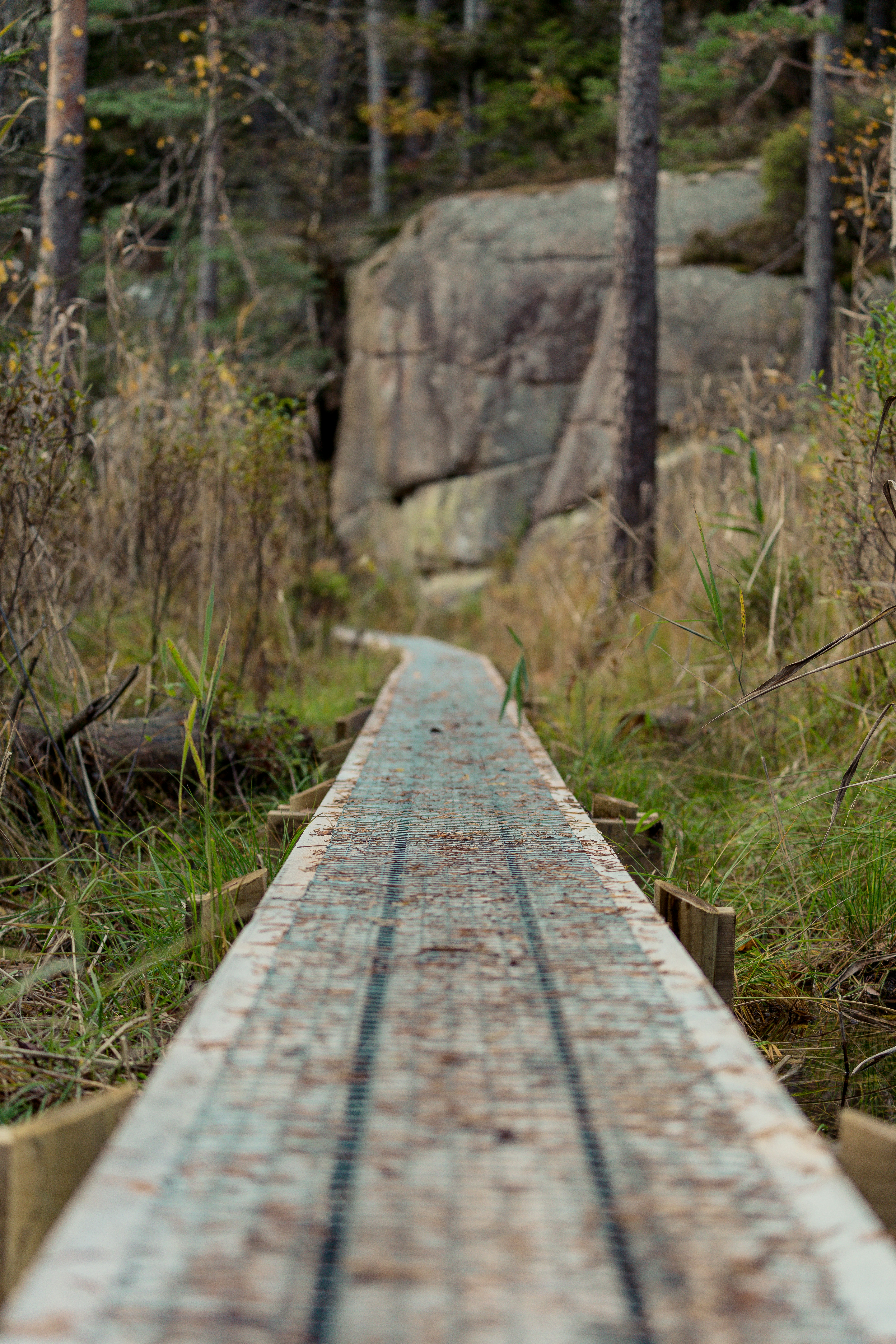 Converging Pathways: Weathered Boardwalk Toward a Silent Rock Gate