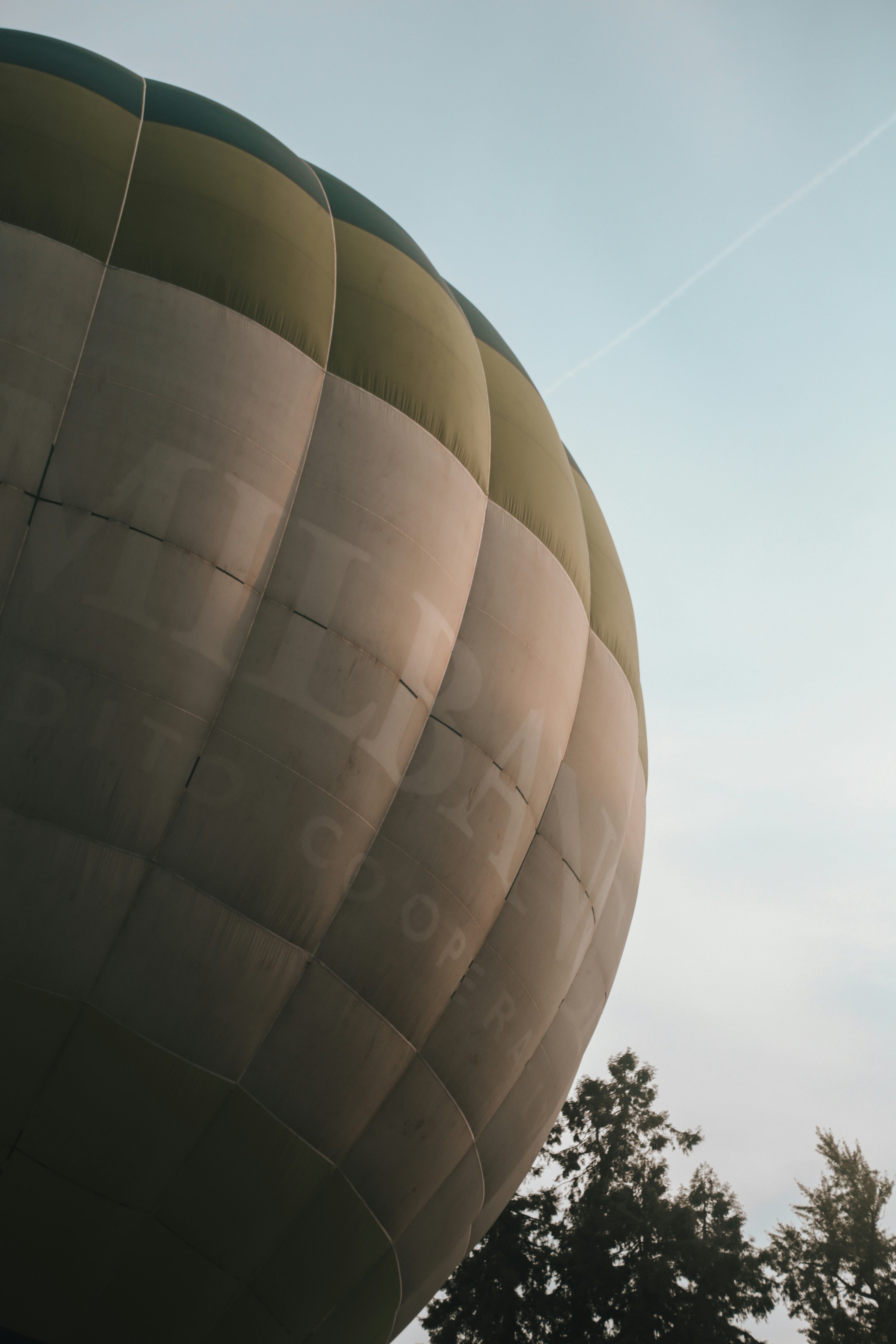 Close-up of a colorful hot air balloon against a pale sky, highlighting its textured surface and vibrant hues. Trees frame the bottom of the scene.