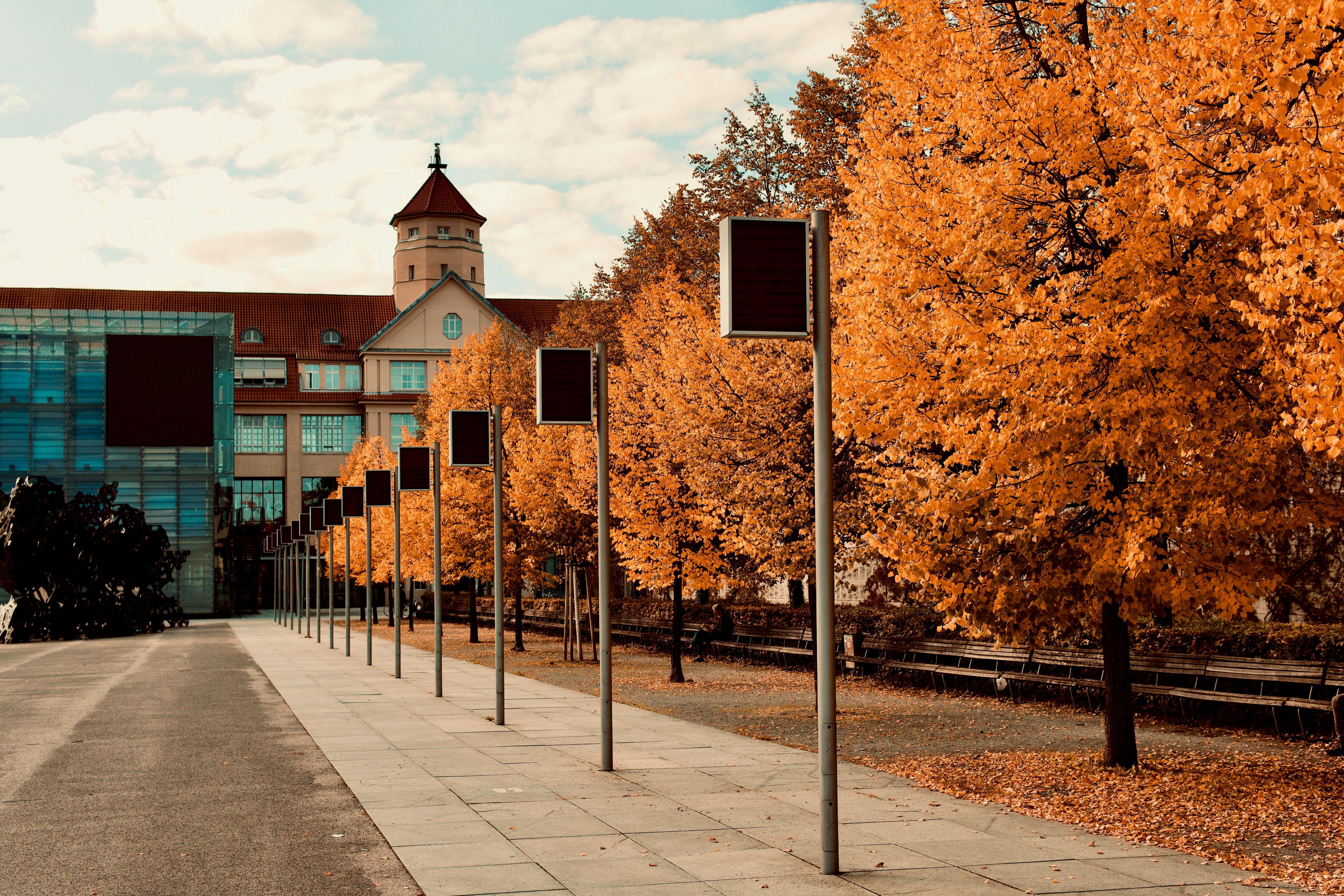 Autumn Avenue: A Row of Signposts Leaning Toward the Sunset