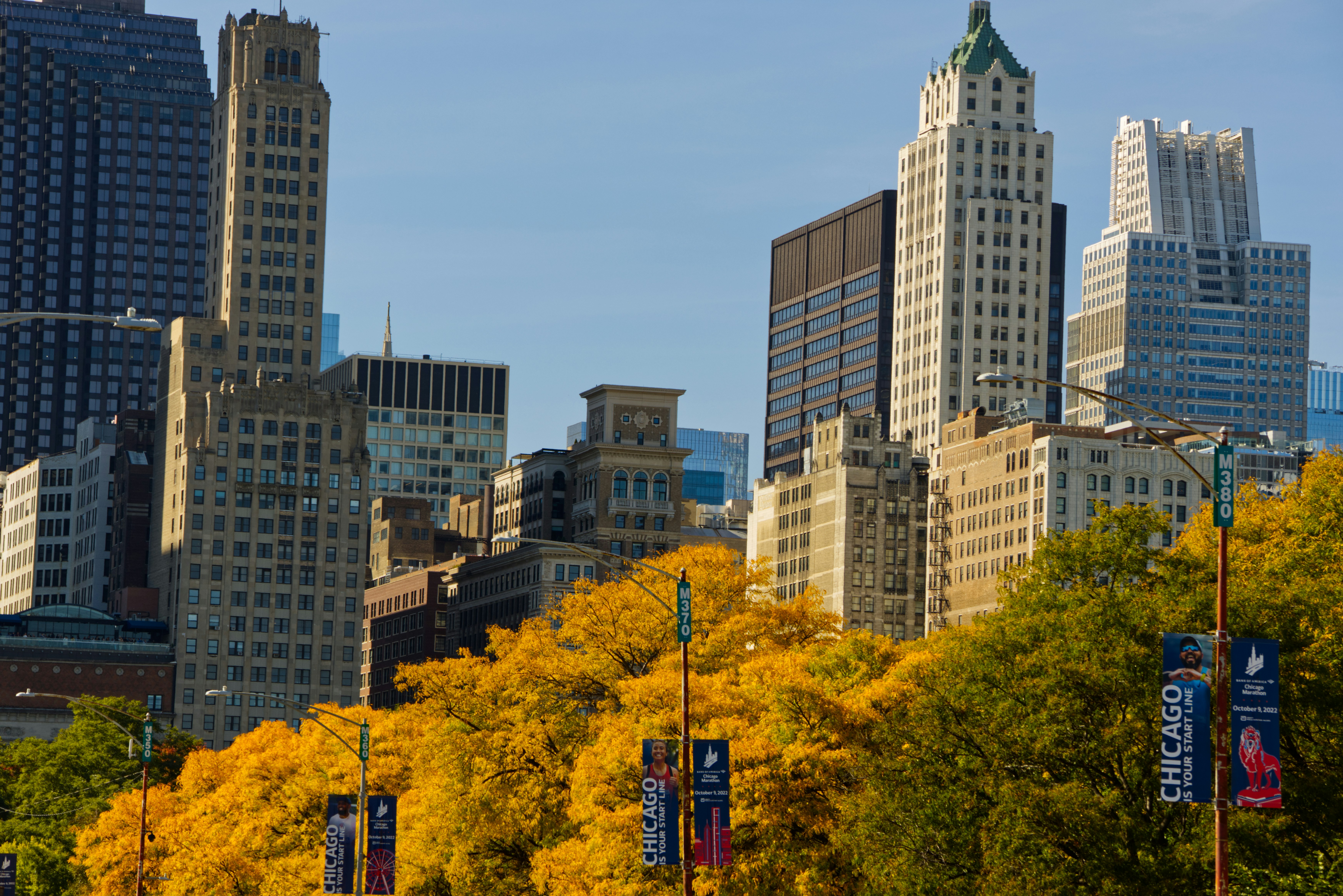 Golden Canopy Over a City Park
