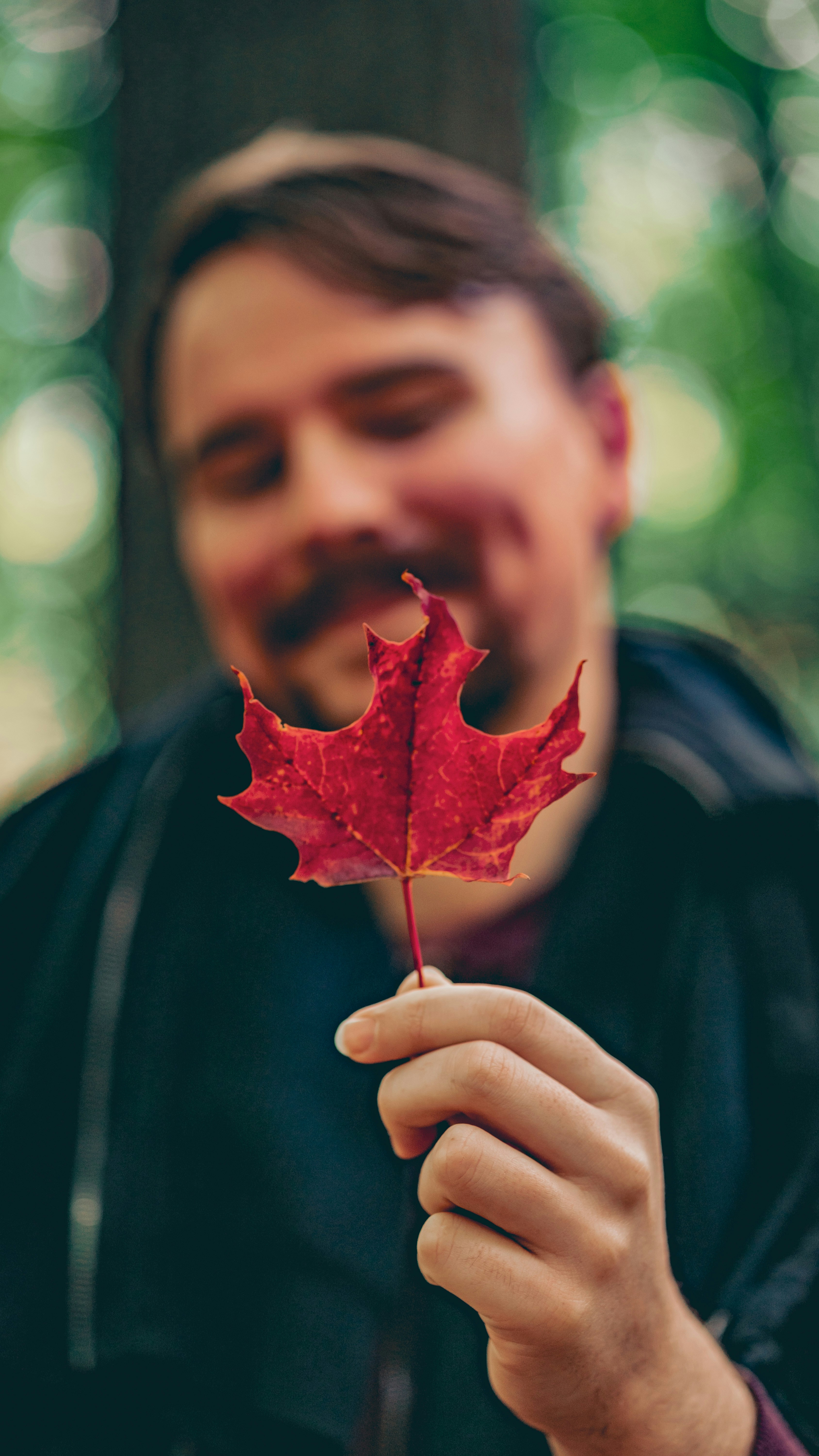 Crimson Maple Frontal: A Leaf-Centered Portrait with Velvet Blur