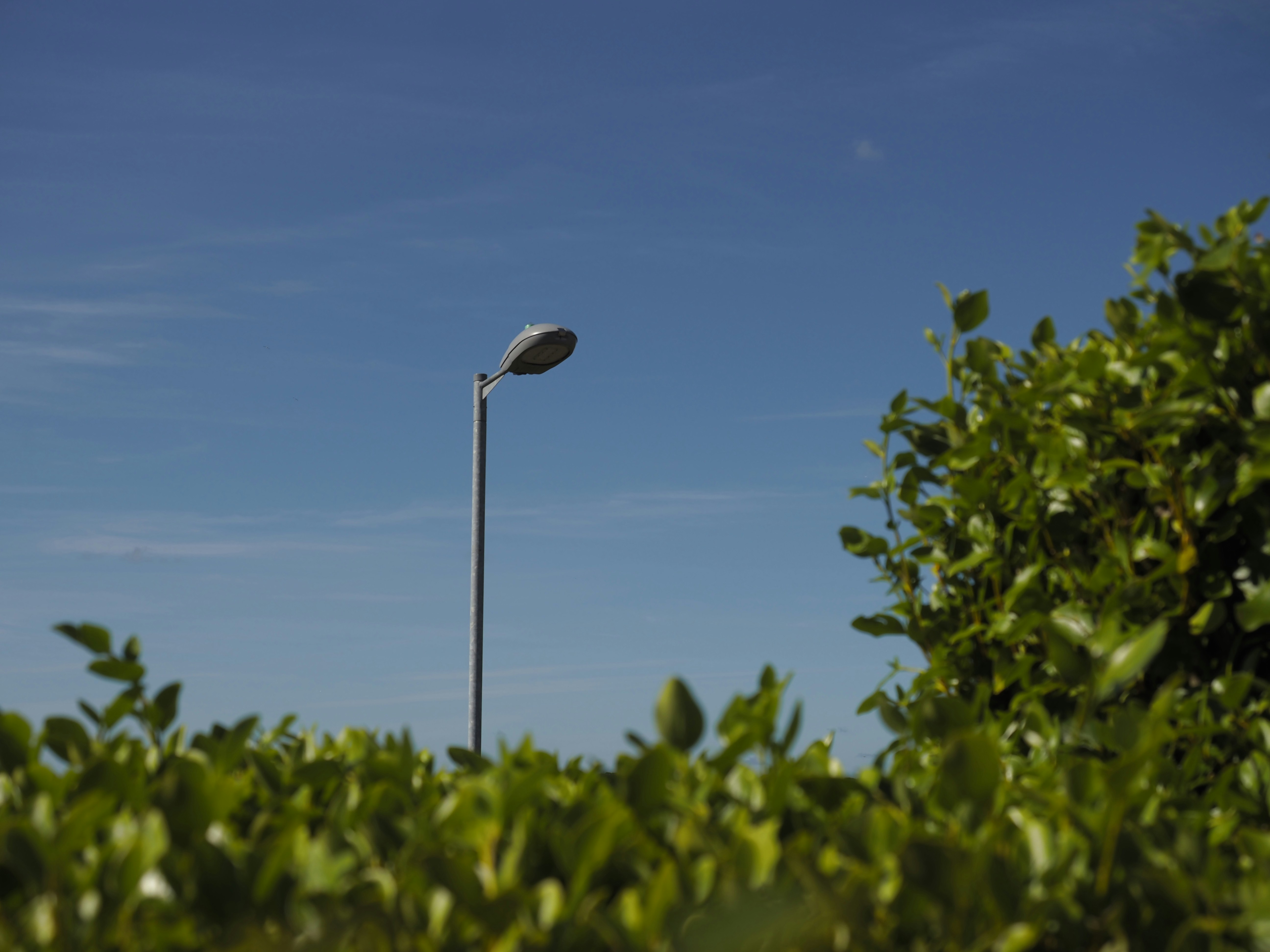 a street light in a field