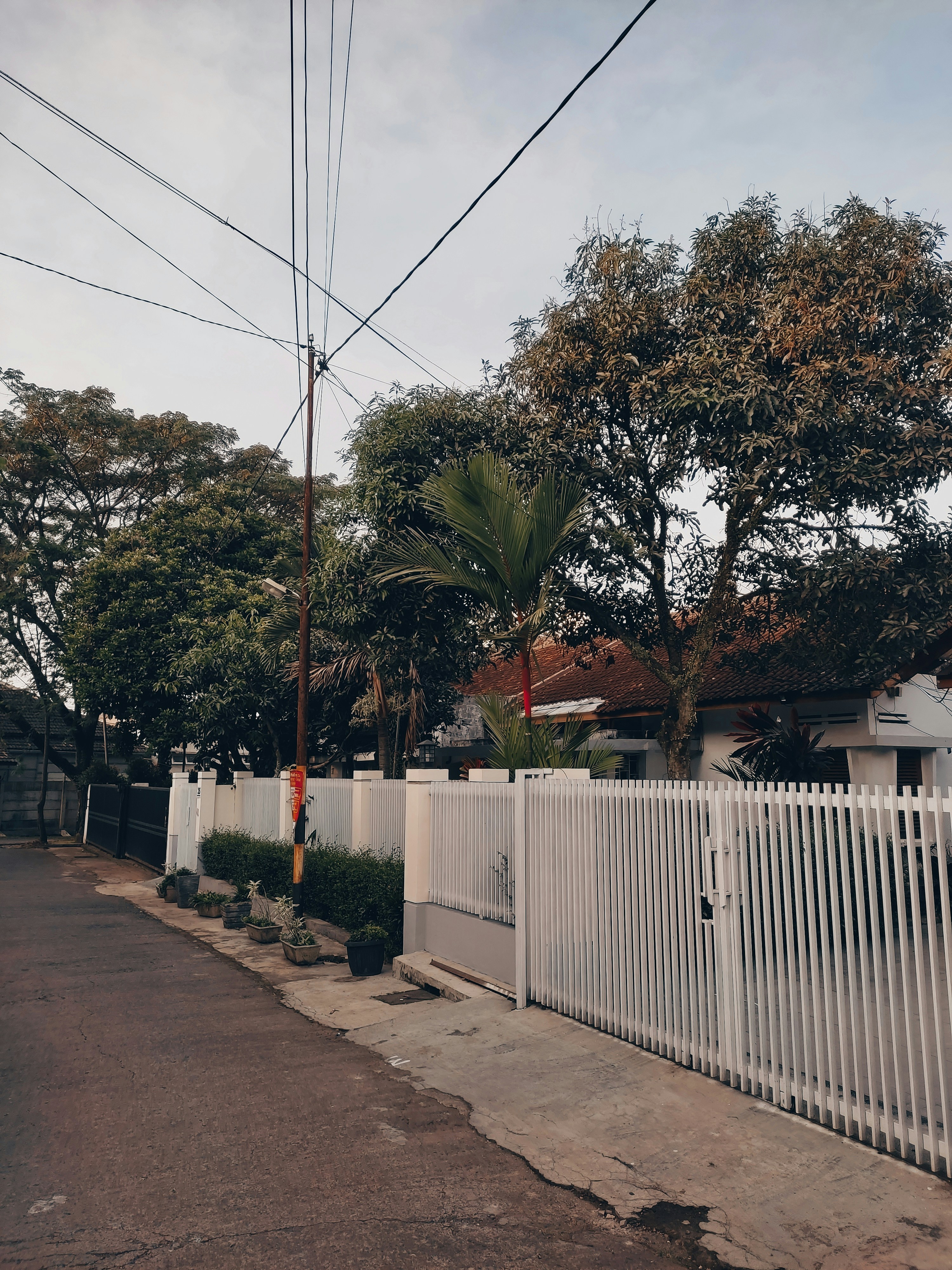 A tranquil street scene featuring lush trees and a white picket fence, capturing the essence of suburban calm. The early morning light casts a gentle glow on the surroundings.