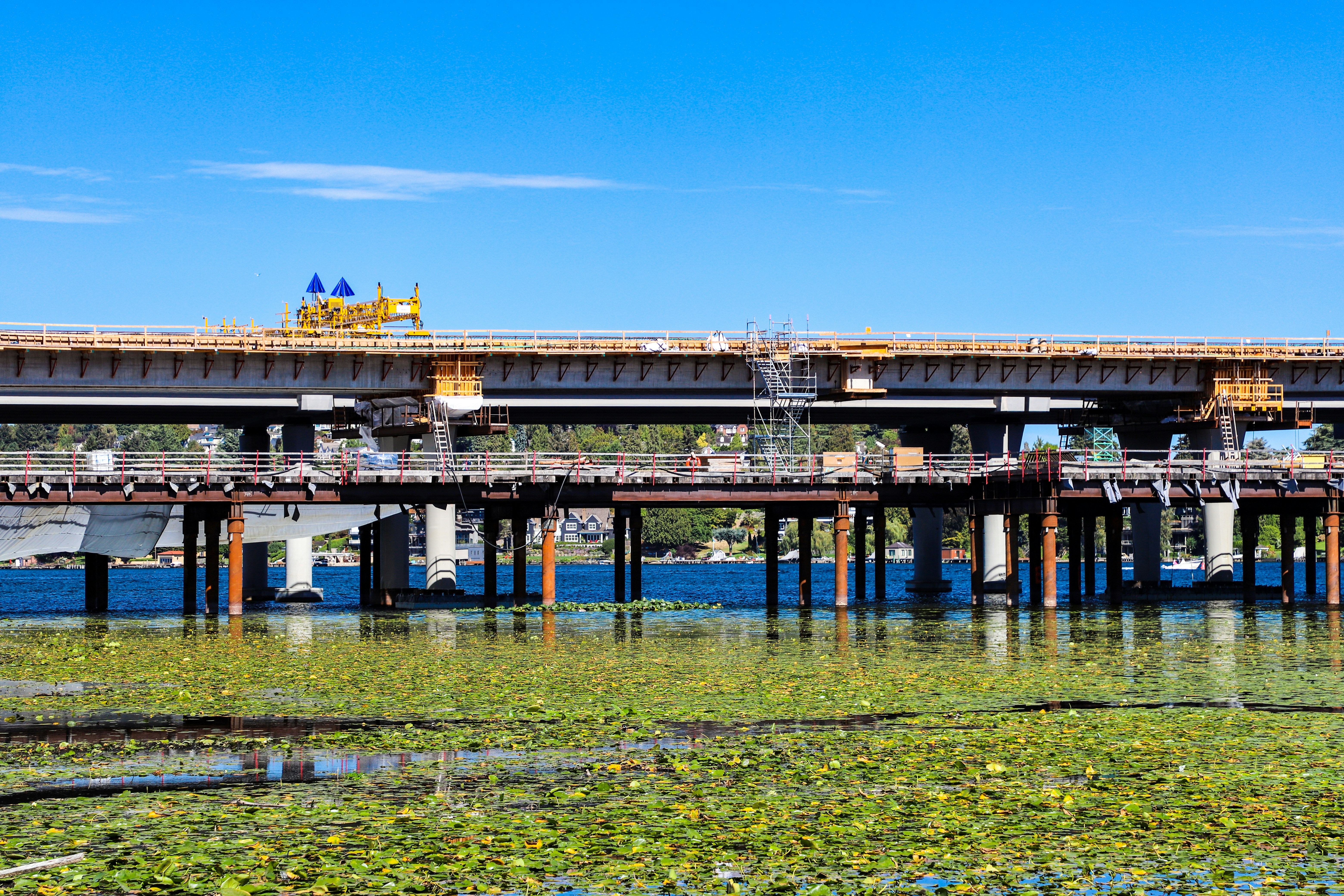 Photo by Mario Verduzco with Canon EOS 6D Mark II