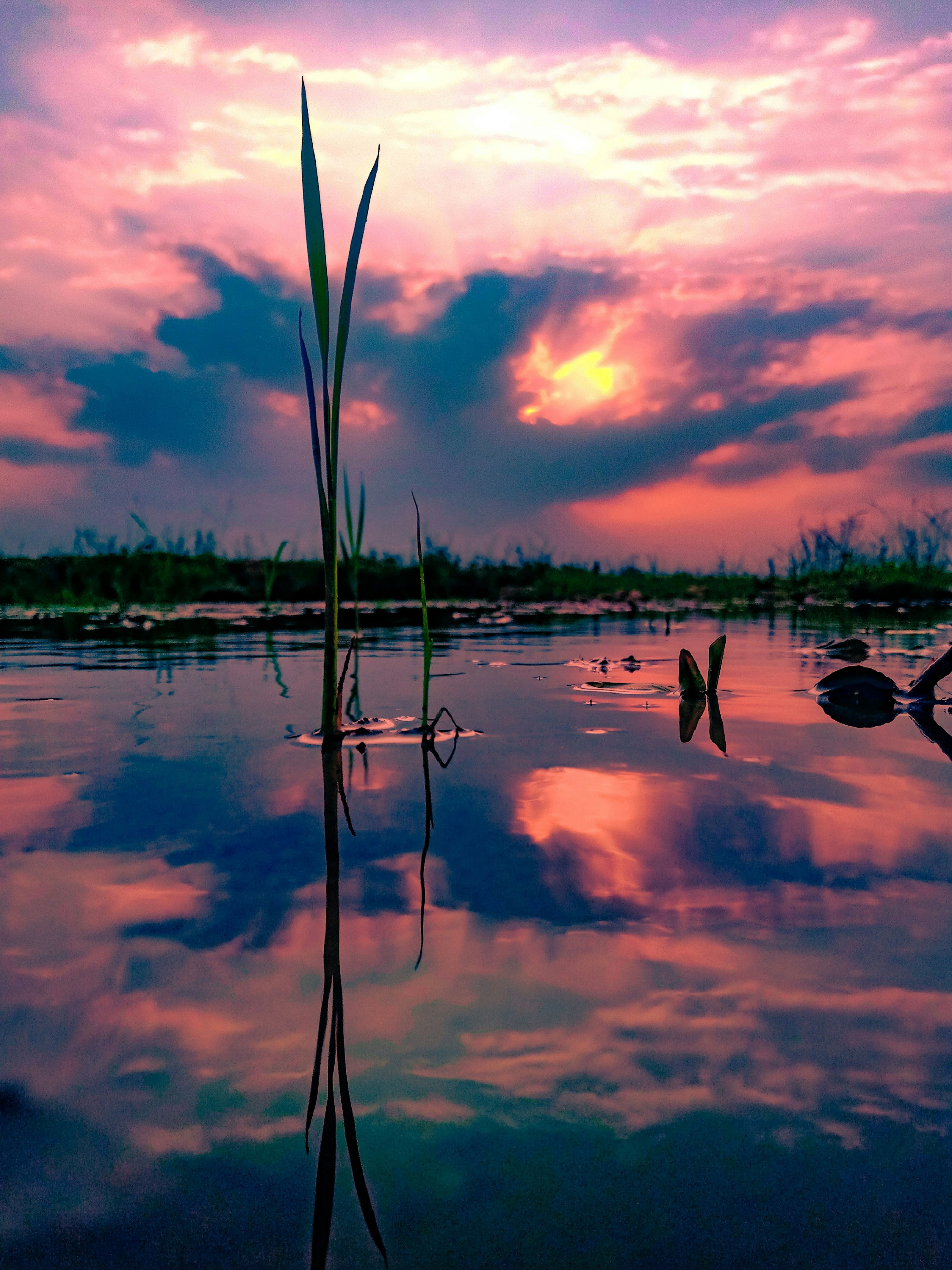 Dharmendra Paikra (@dharma_123) | Unsplashフォトコミュニティ