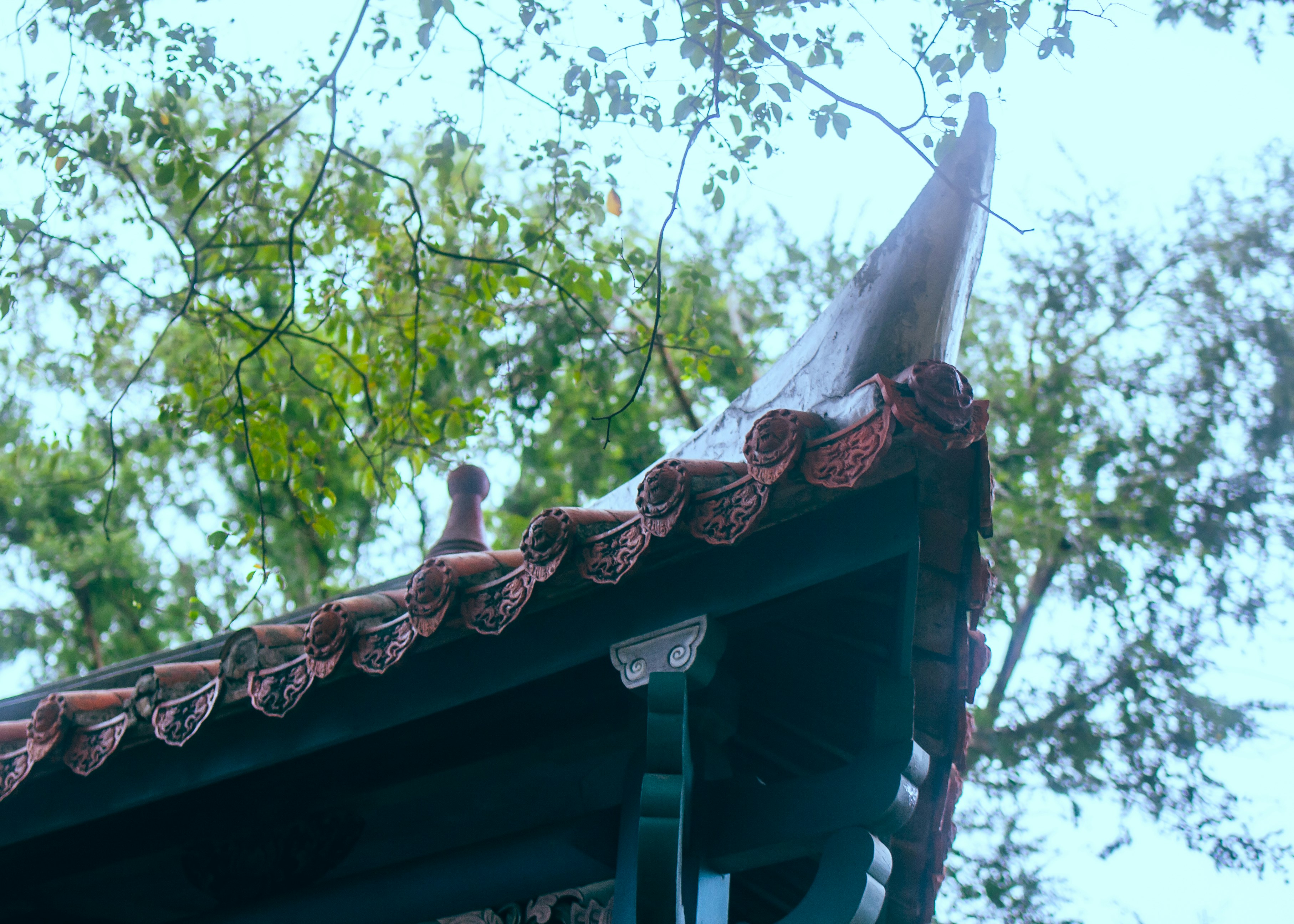 Temple Roof Edge Reaching Toward the Sky