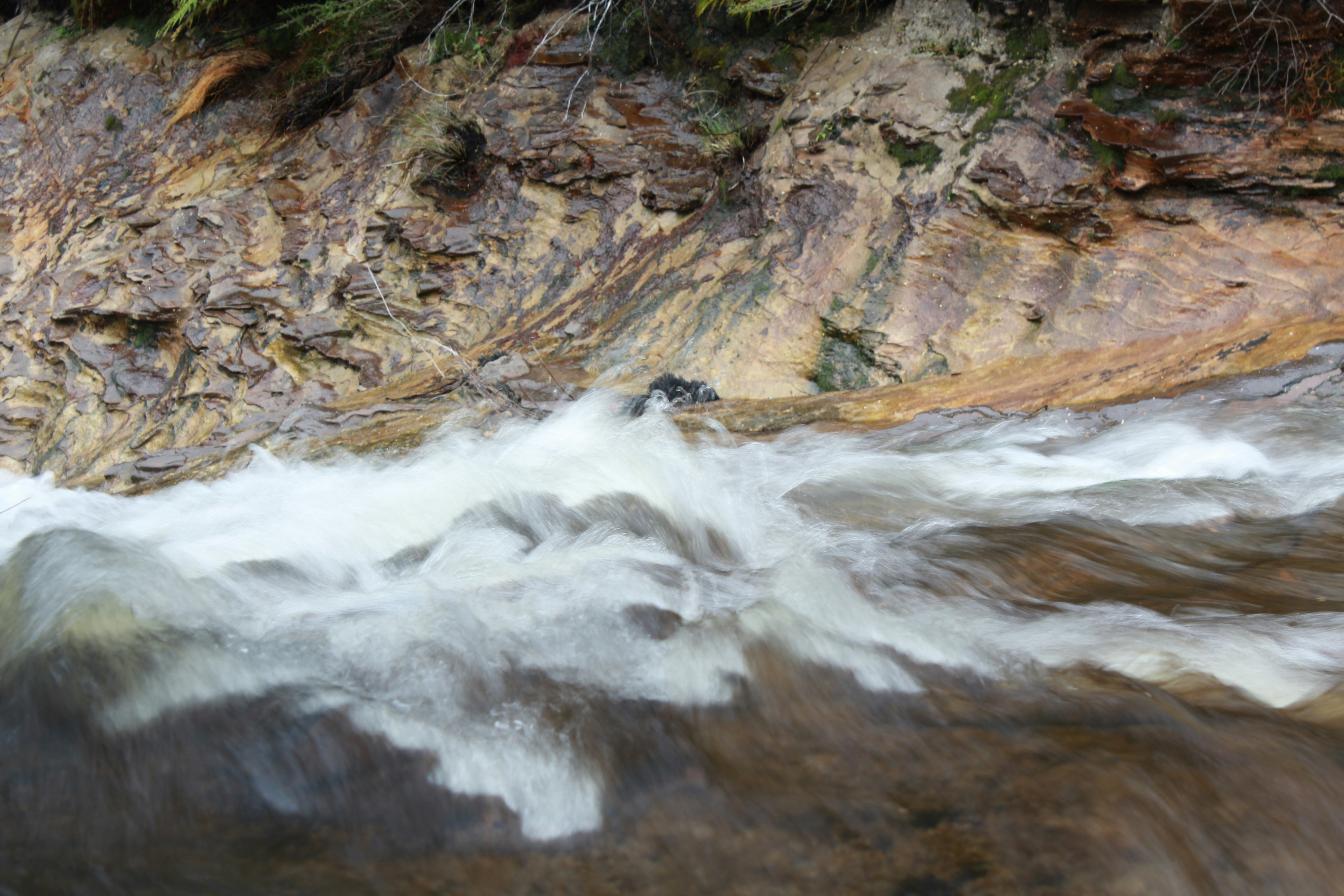 Photo by Andrew Tom with Canon EOS 1200D