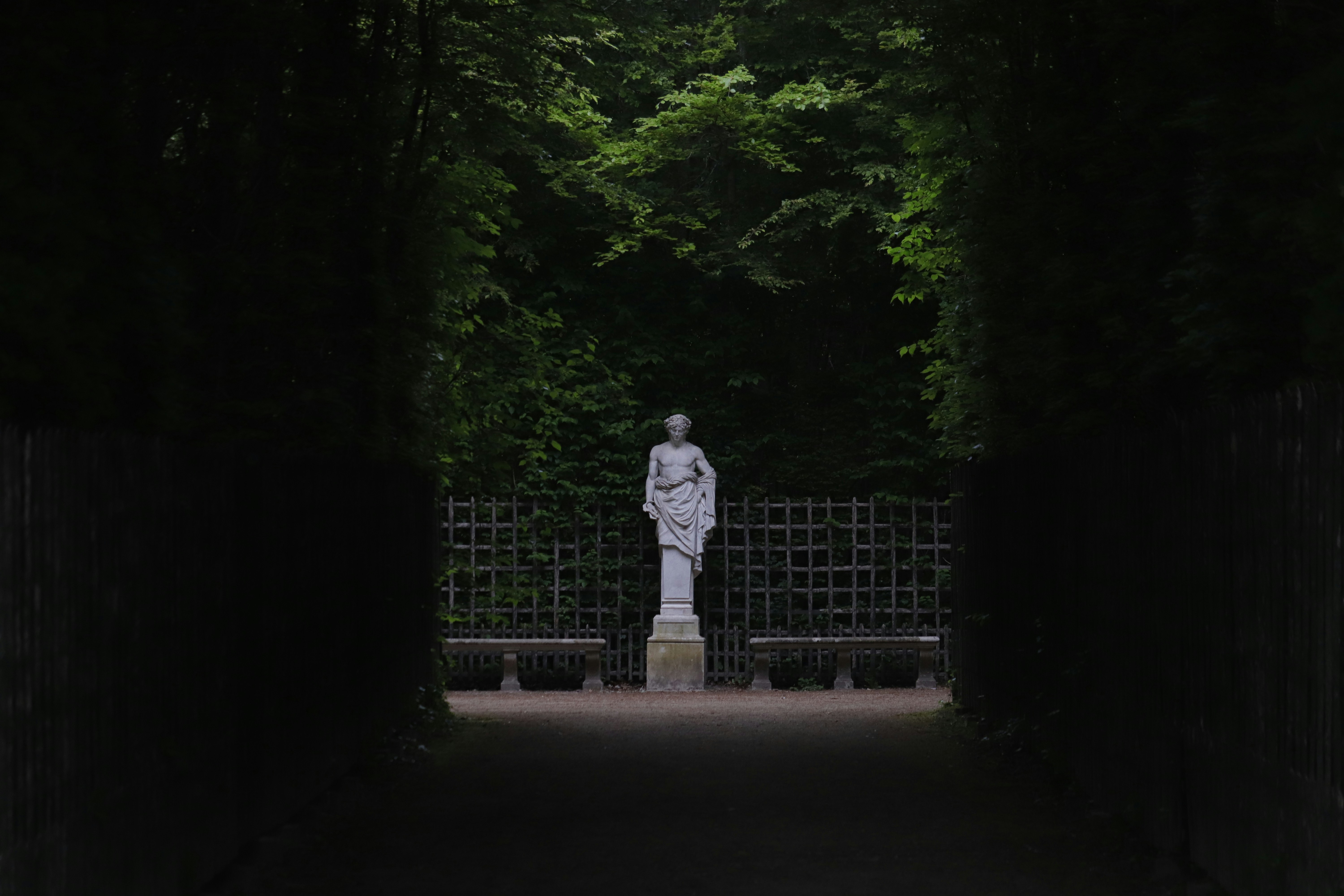 Marble Sentinel at the End of a Shadowed Hedge Corridor