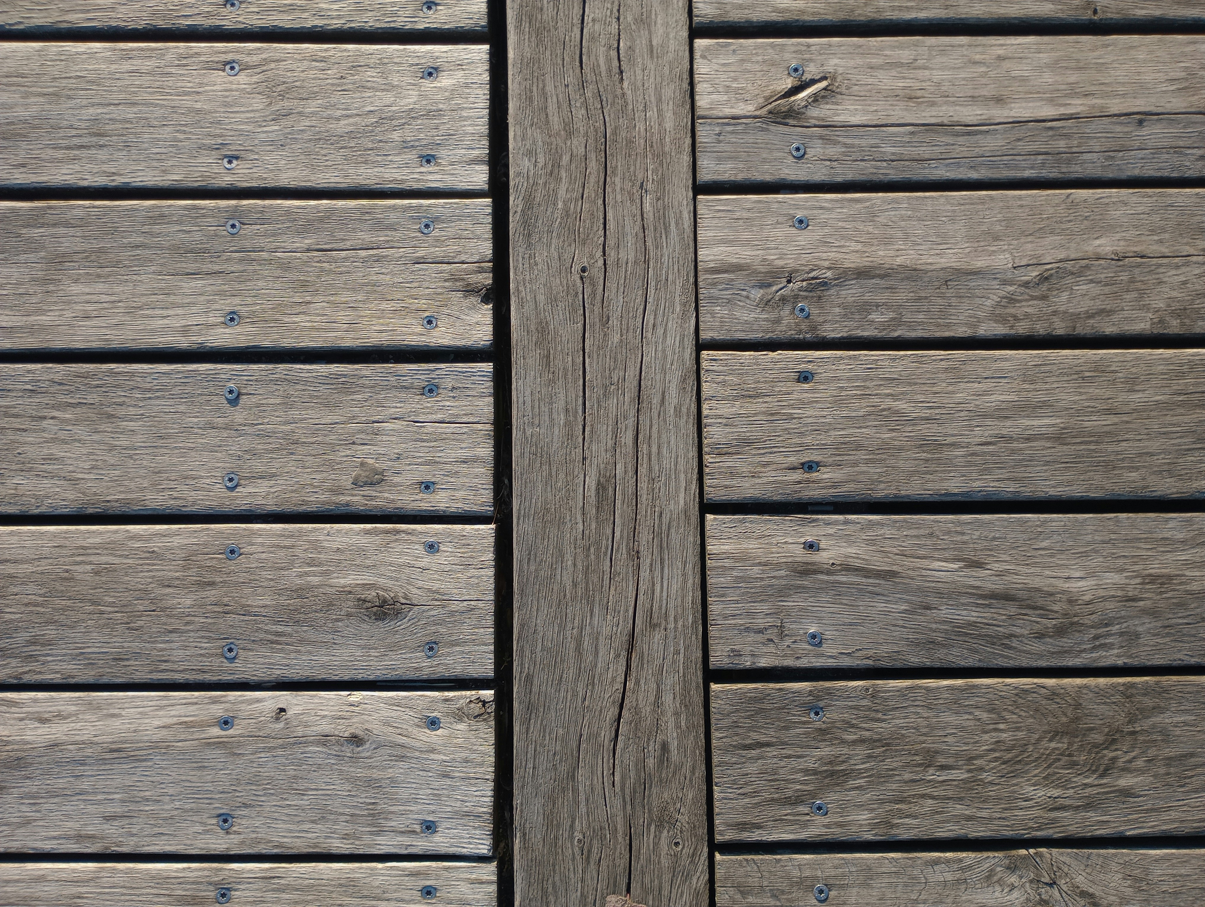 Photo by Artur Opala with Motorola Moto G31