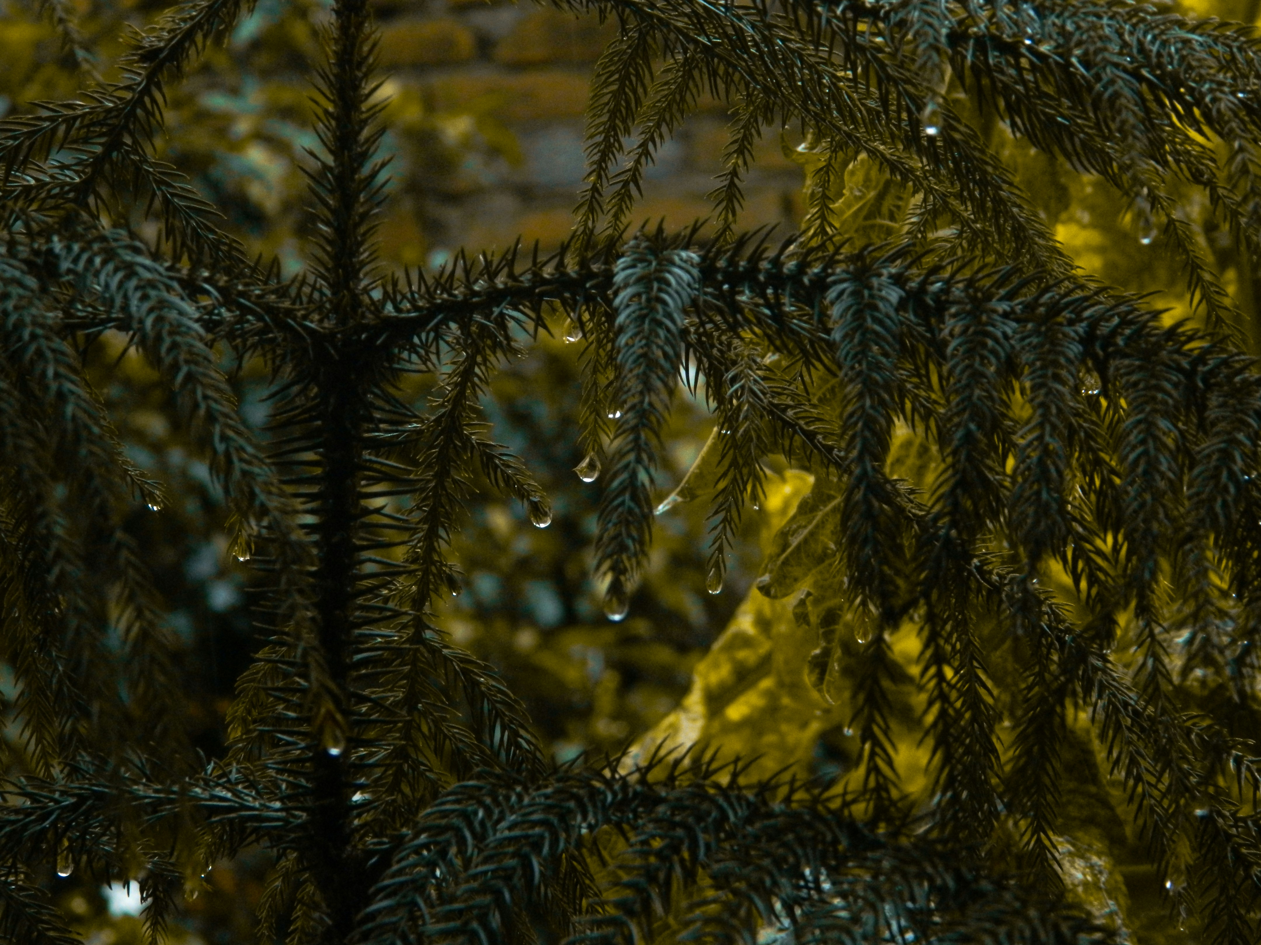 Samarth Gupta (@iamsamarth) | Communauté photos Unsplash