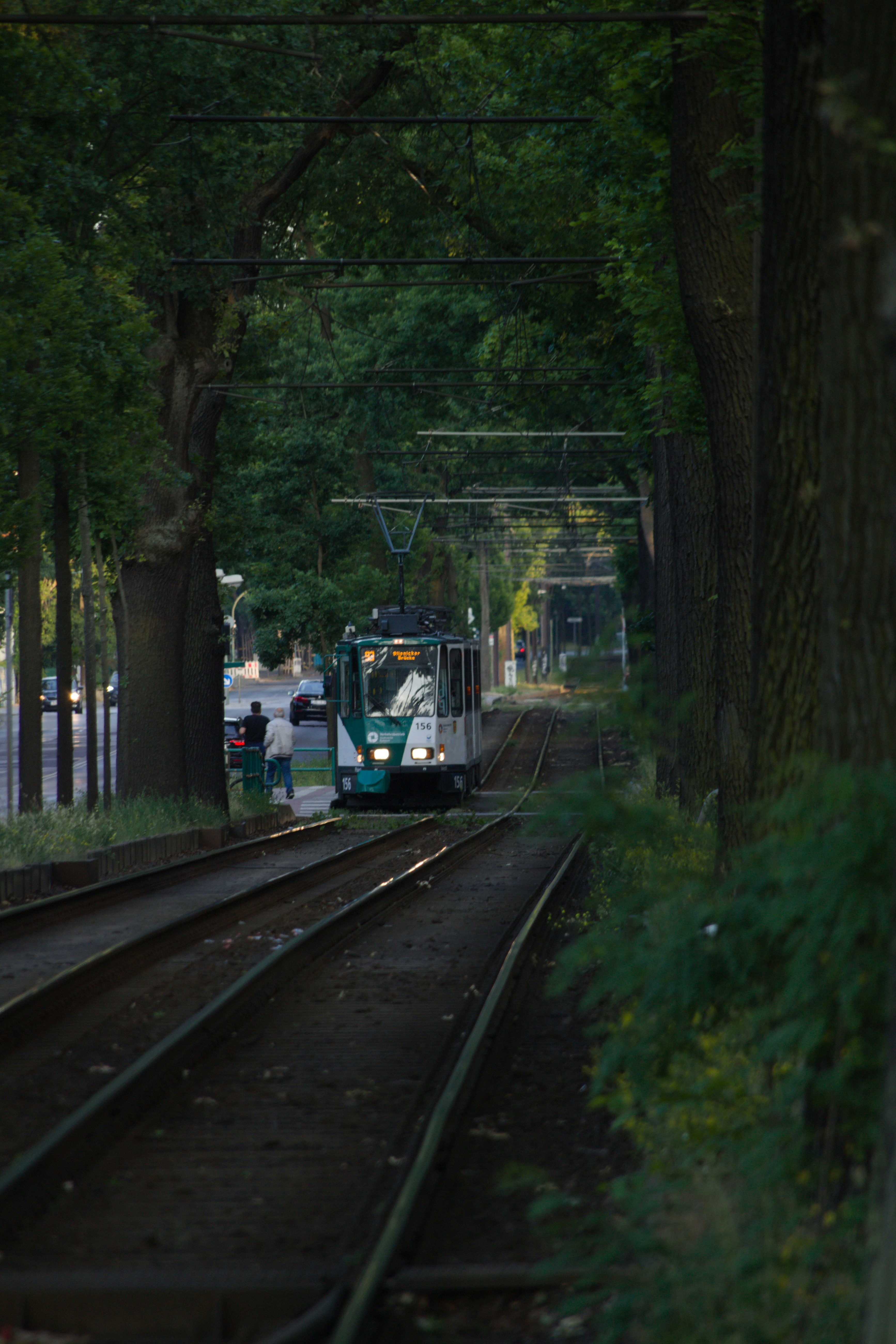 Photo by Klarin Steffens with Canon EOS 700D