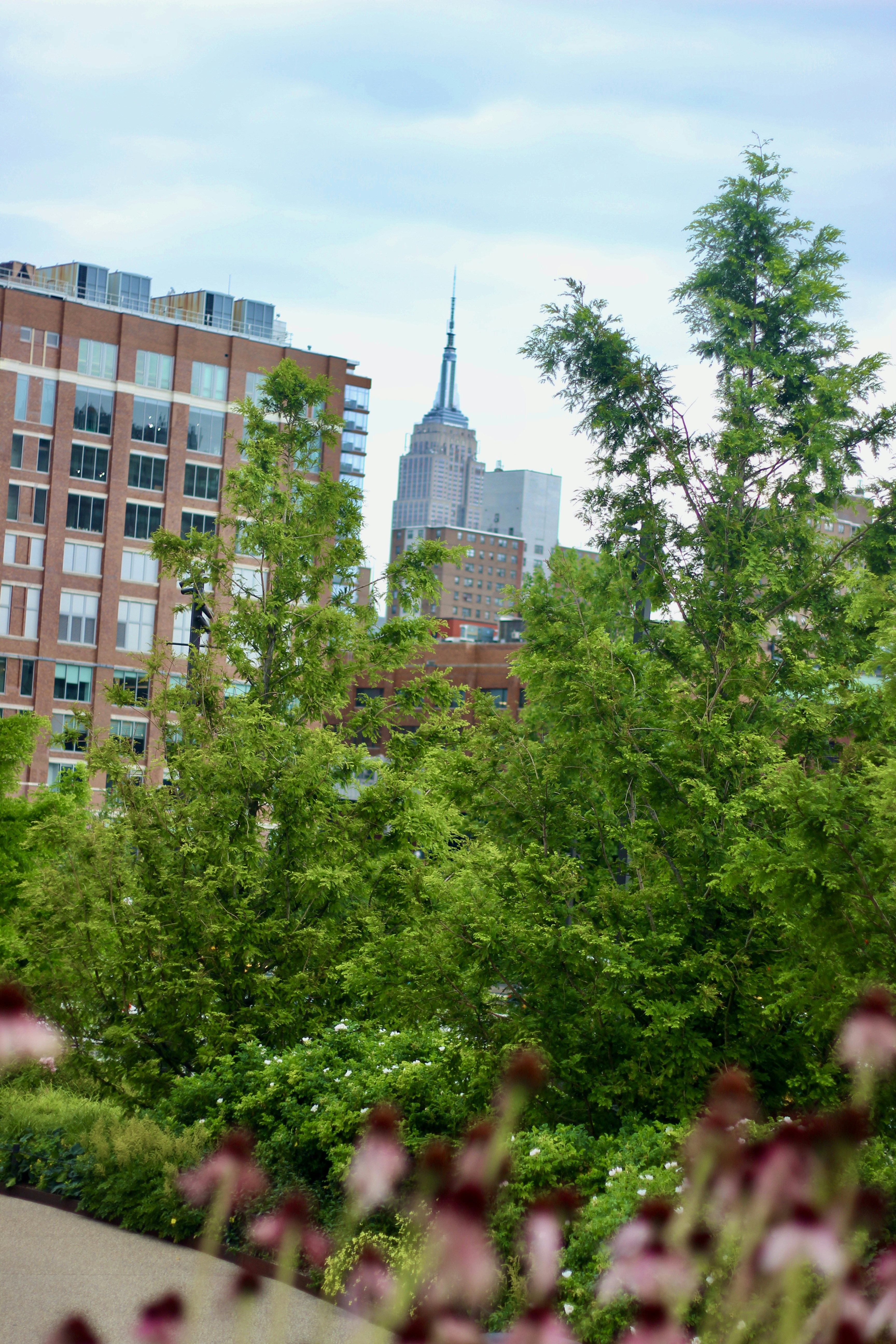 Urban Skyline Emerges Through Green Veil