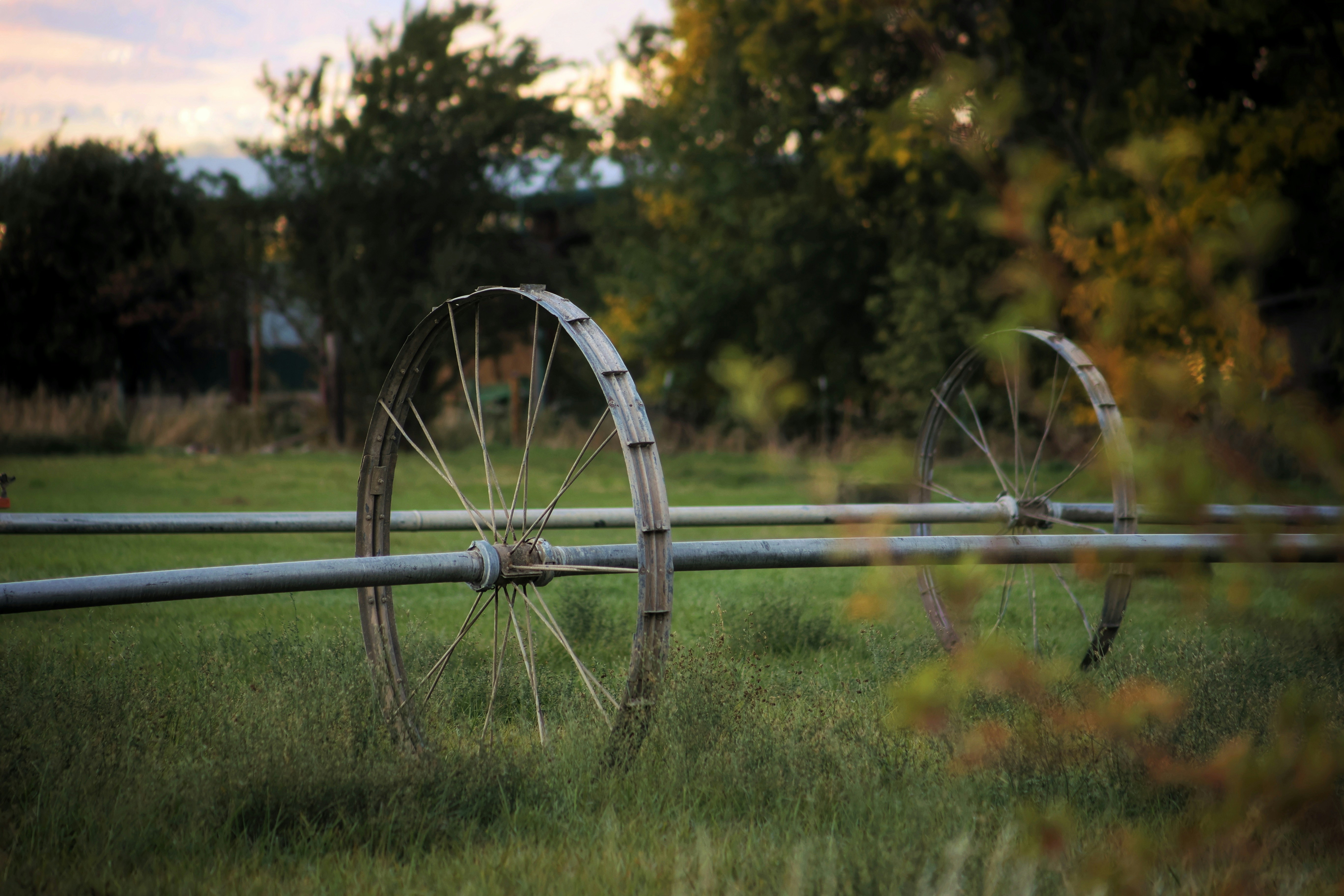 Photo by Joshua Hoehne with Canon EOS R6