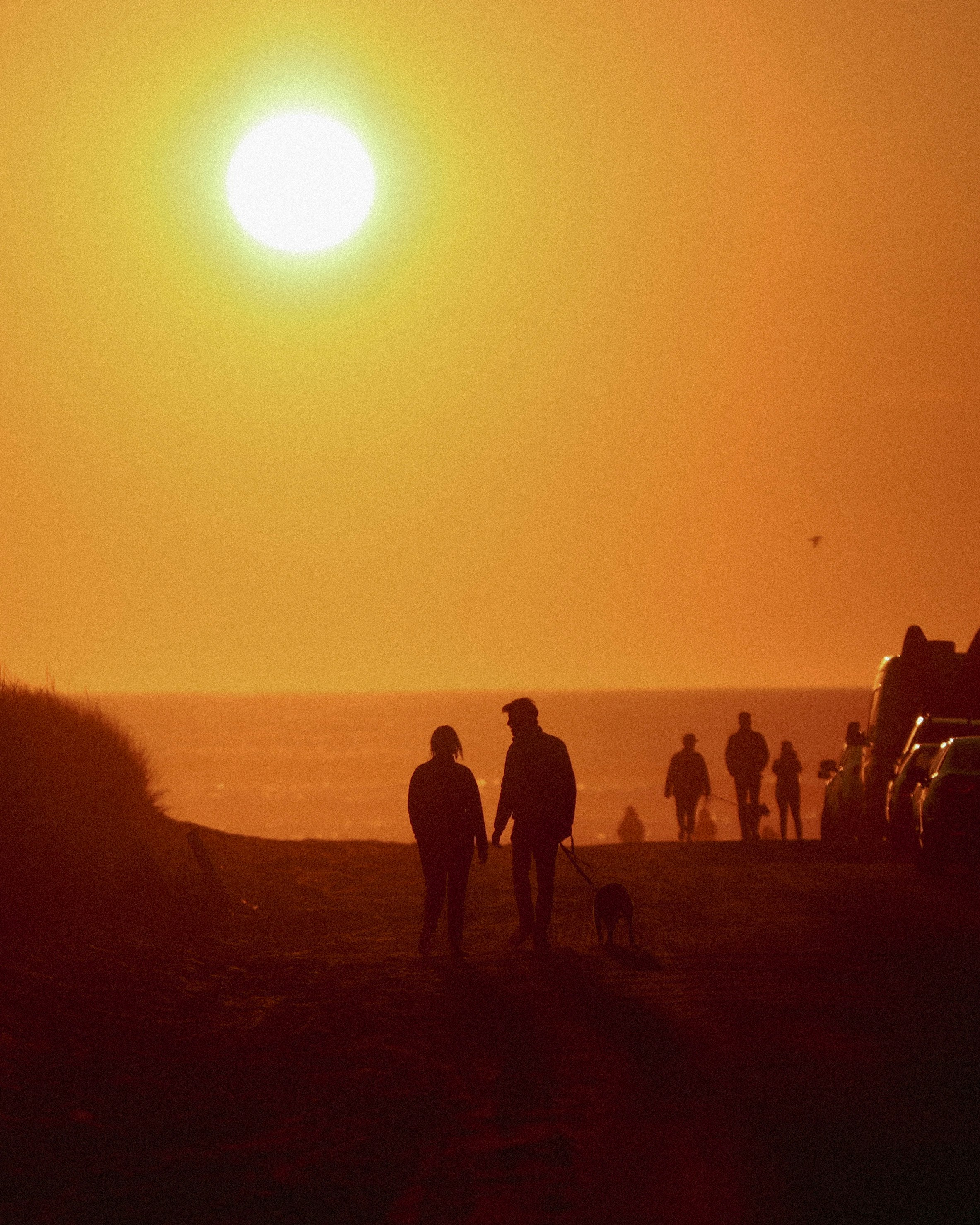 people walking their dogs on a beach