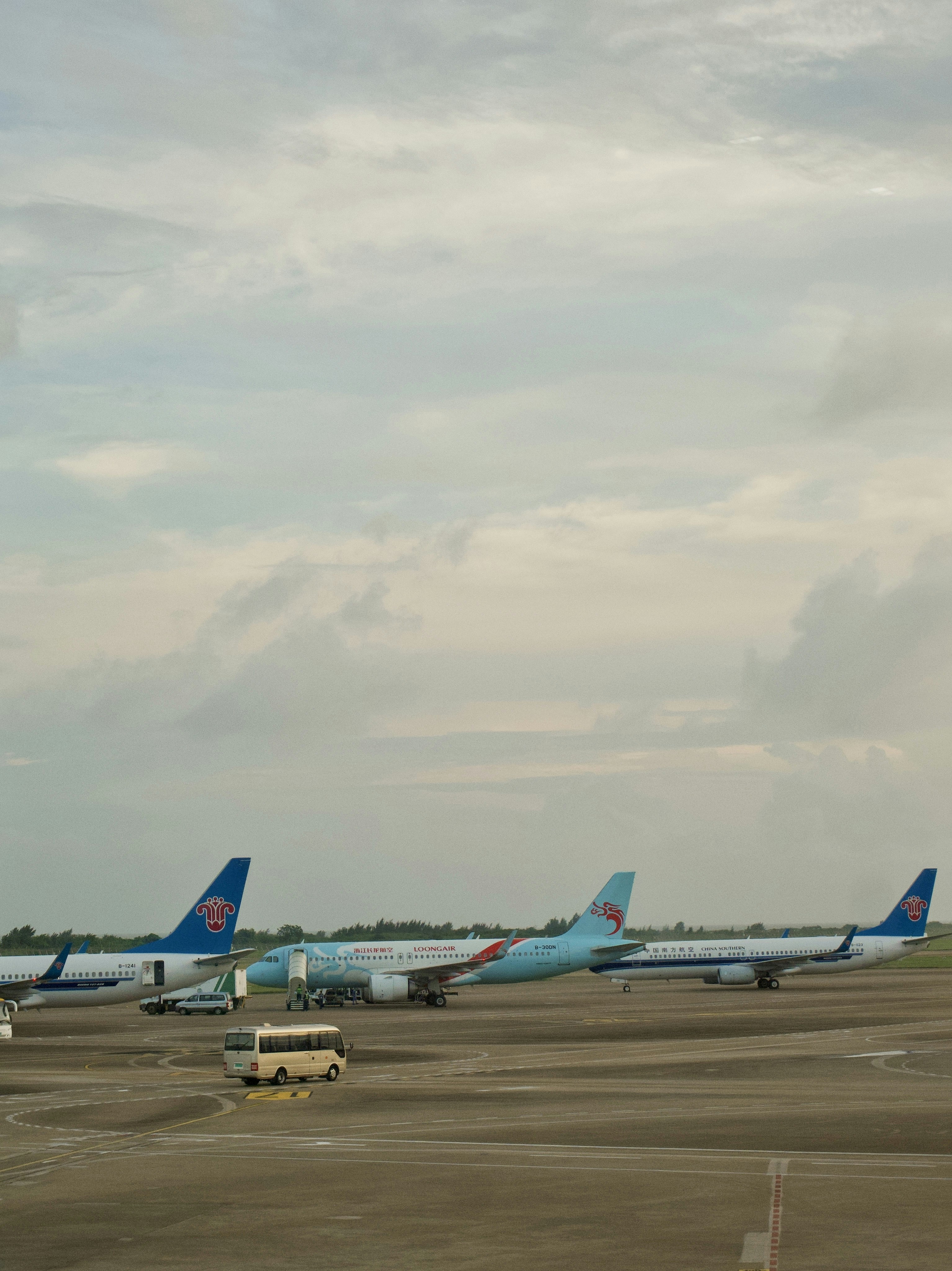 A Symphony of Wings on the Tarmac