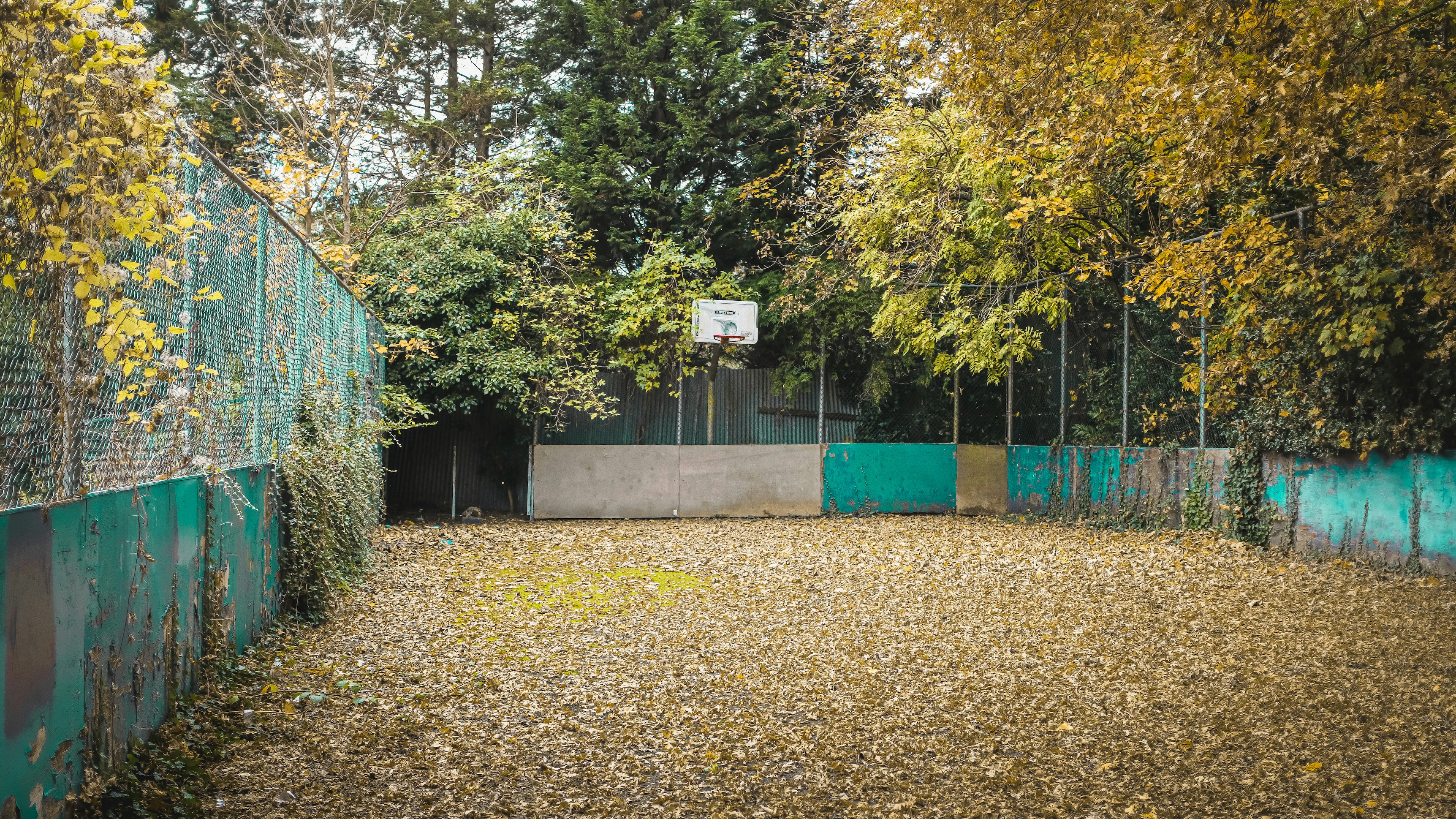 a fenced off area with trees