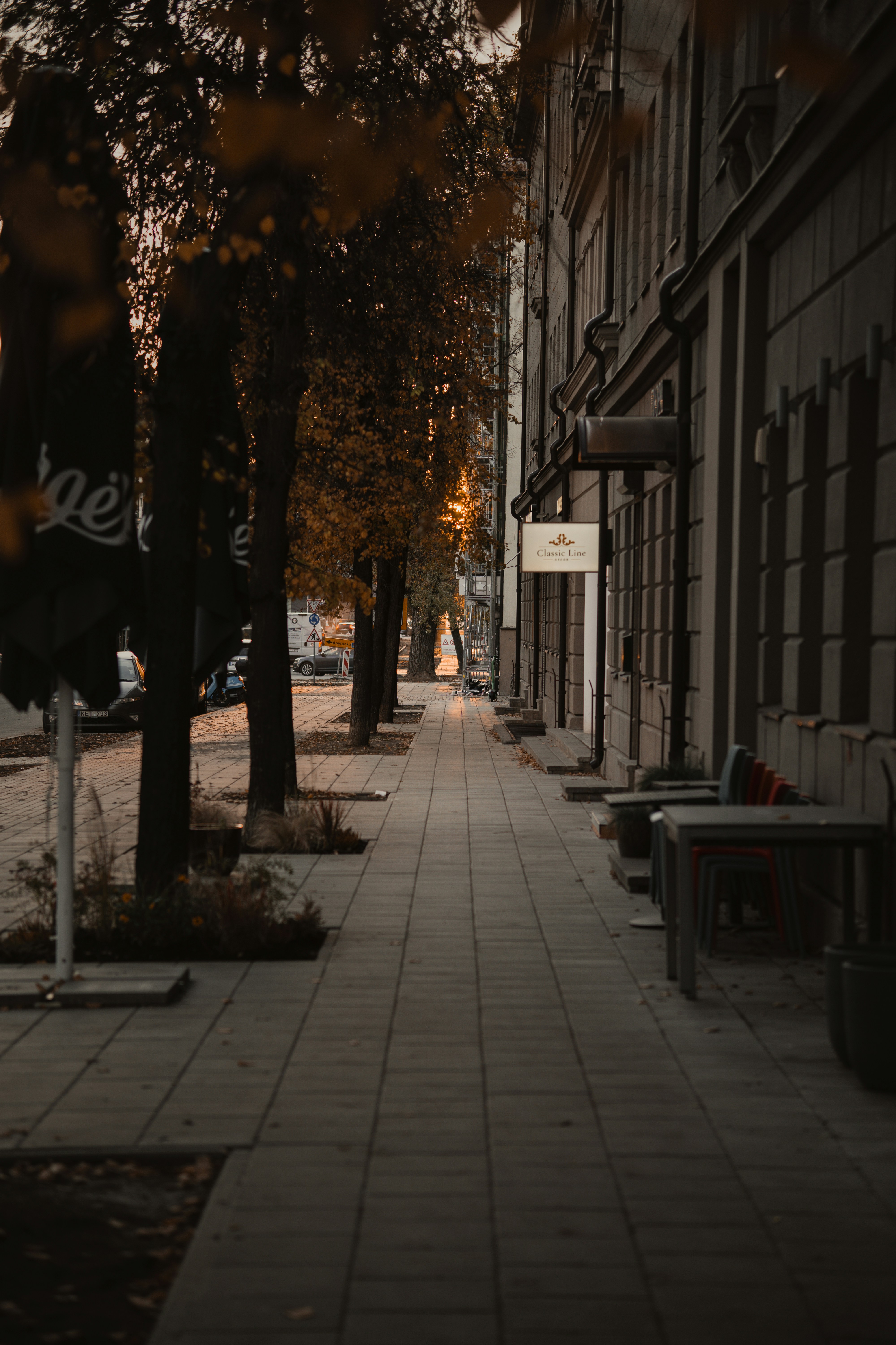 Photo by Dainius N. with Sony Alpha 6000