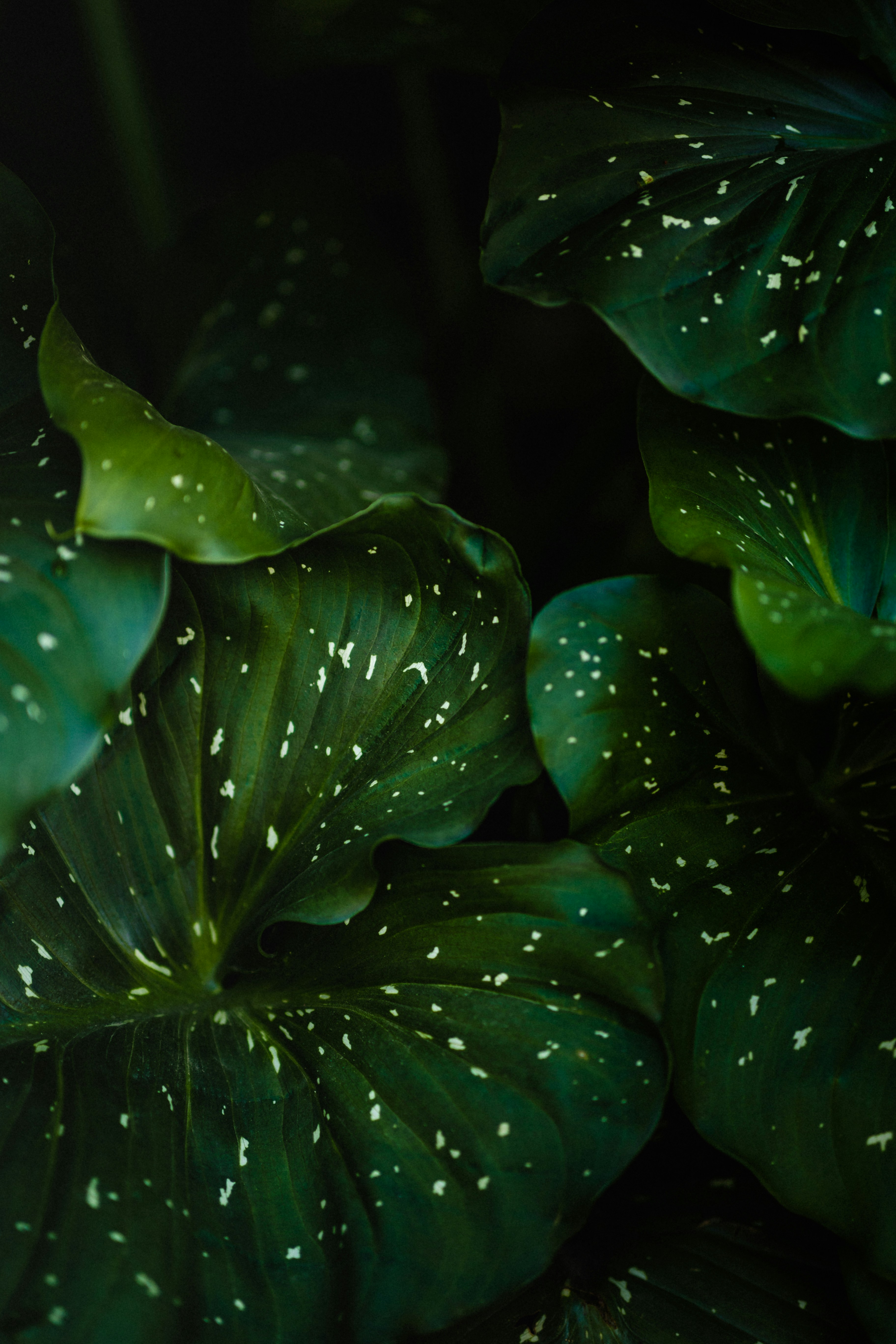 Photo by Jason Leung with Canon EOS R6