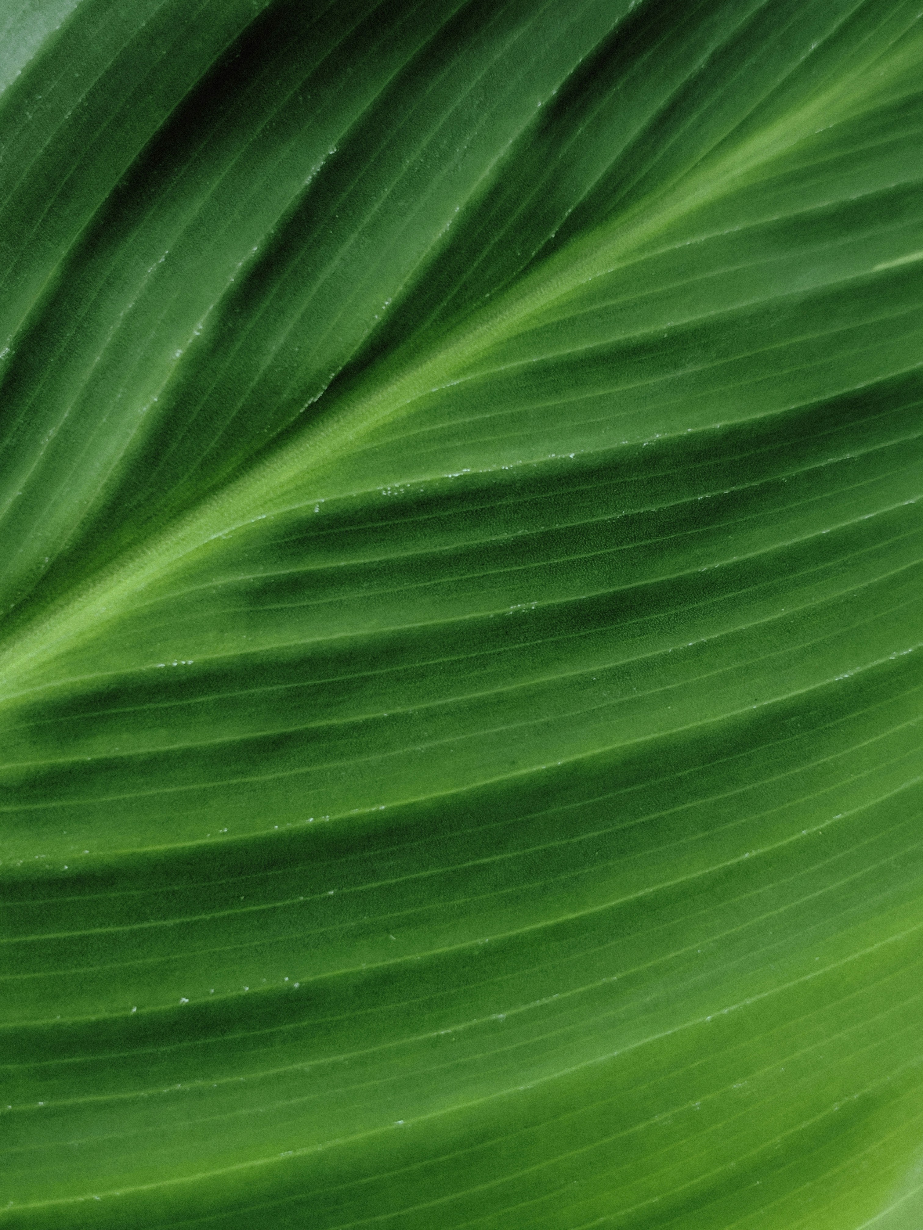 Textures & Patterns | Unsplash