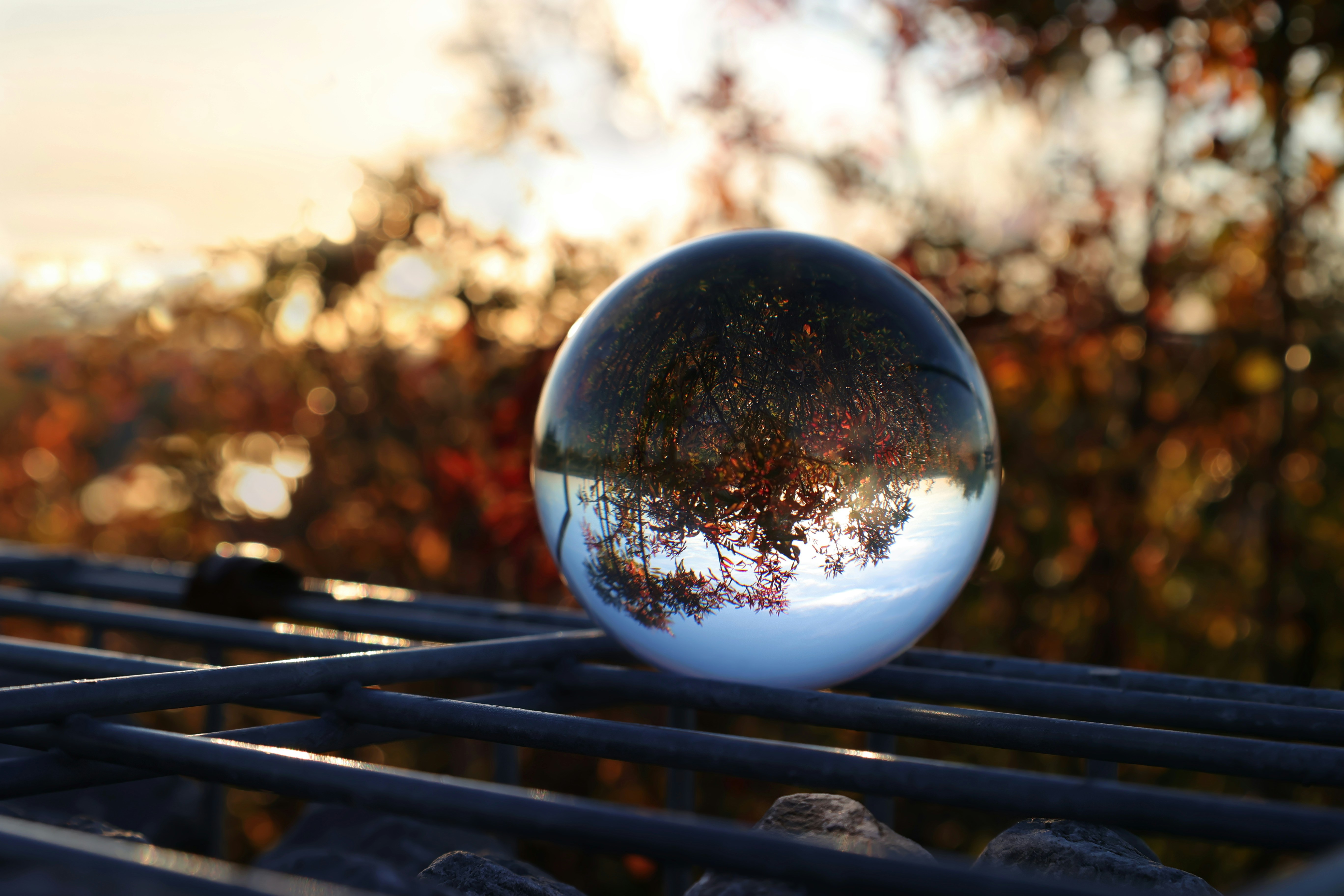 Reflections of Autumn in a Glass Orb