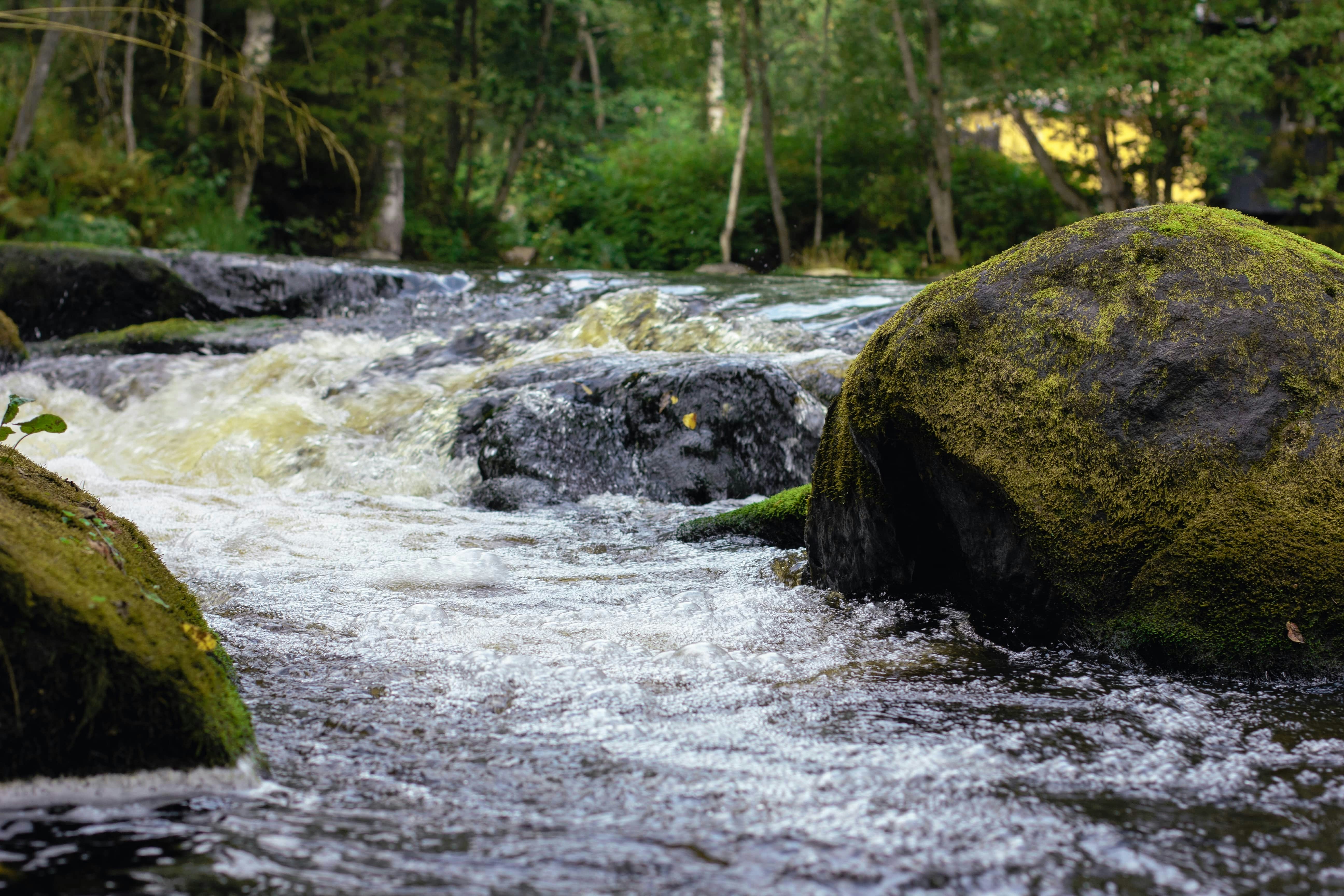 Une rivière avec des rochers photo – Photo Russland Gratuite sur Unsplash