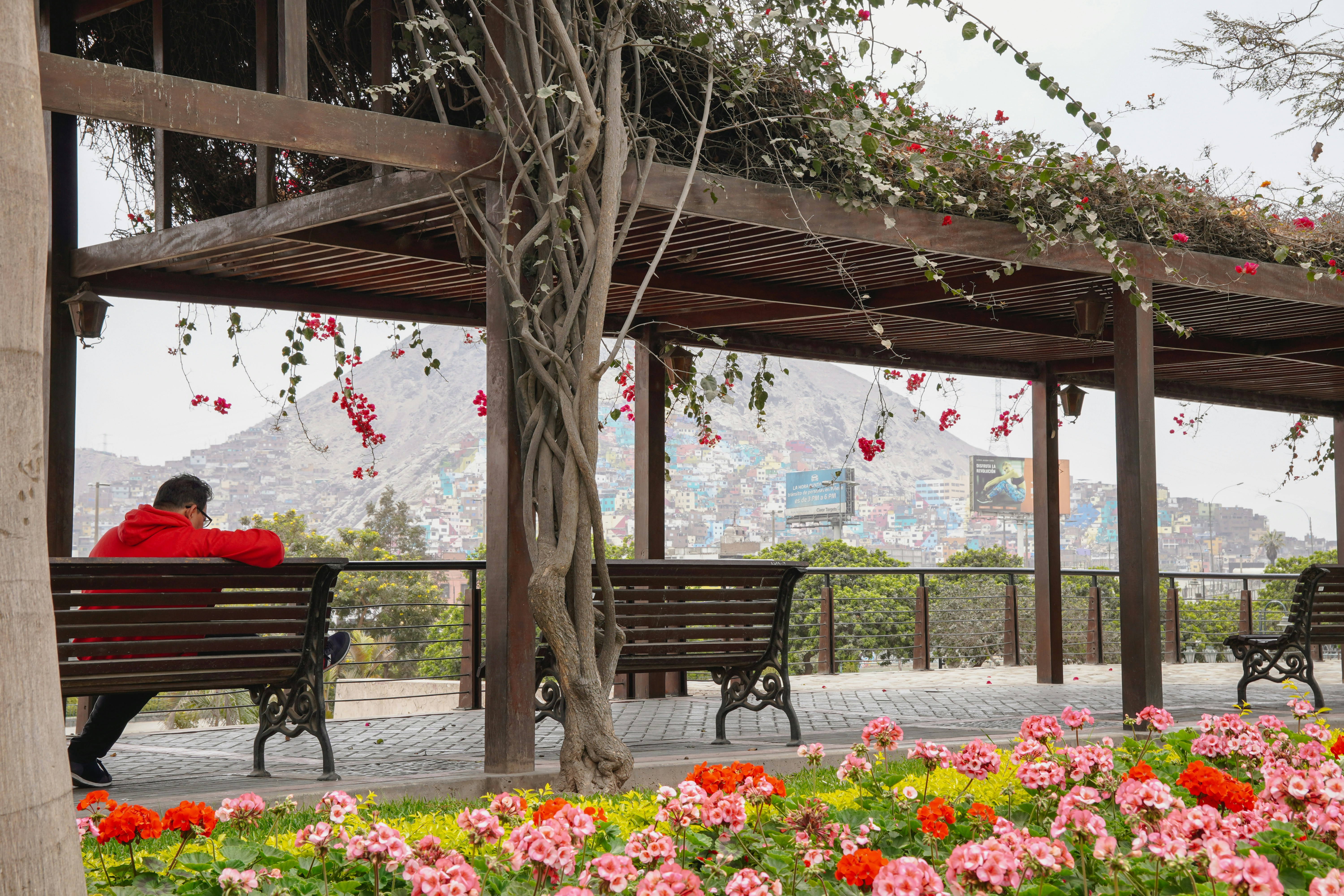 Photo by Mikhail Mokrushin with Sony Alpha 6400