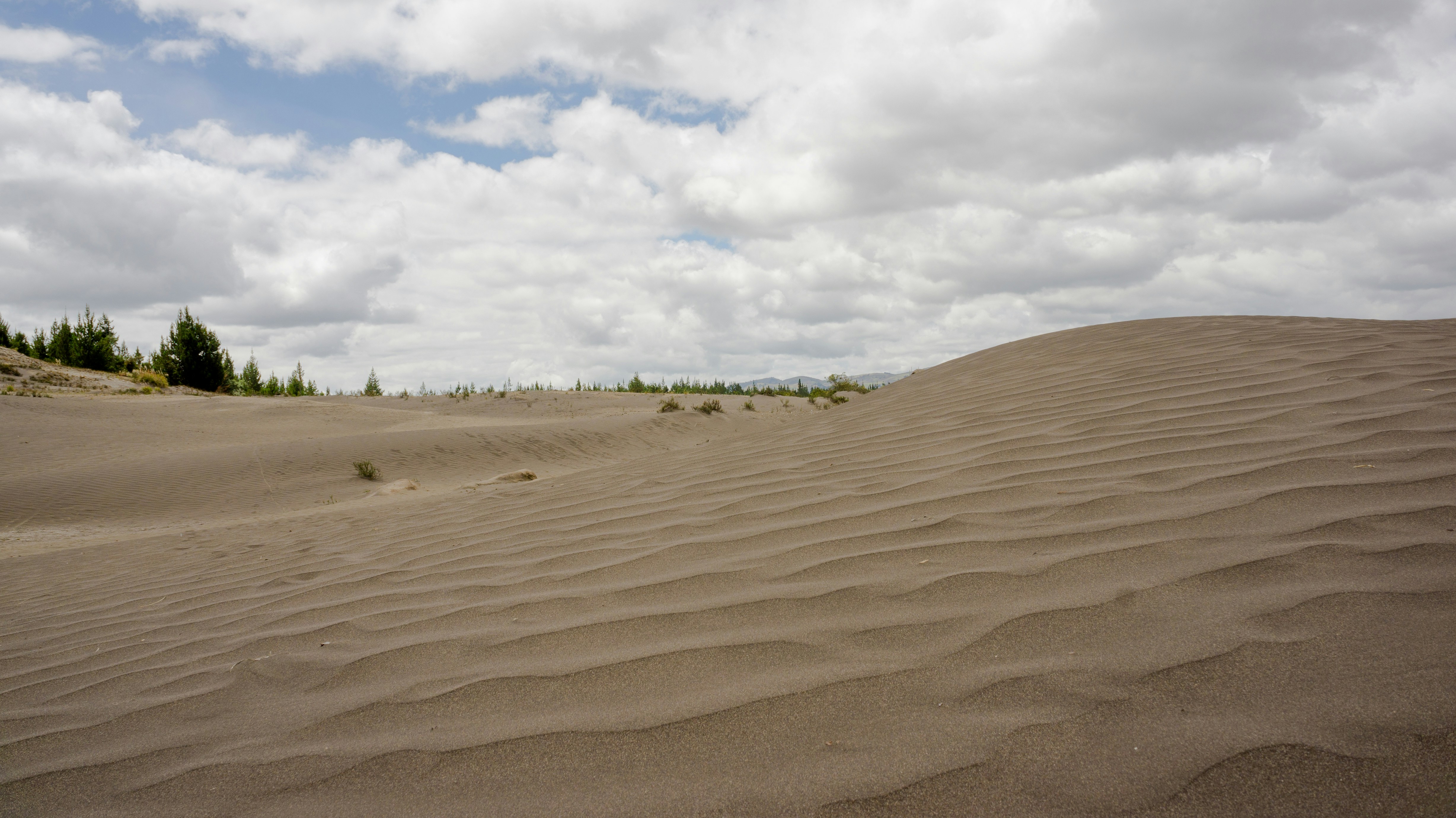A sandy area with trees in the distance photo – Free Grey Image on Unsplash