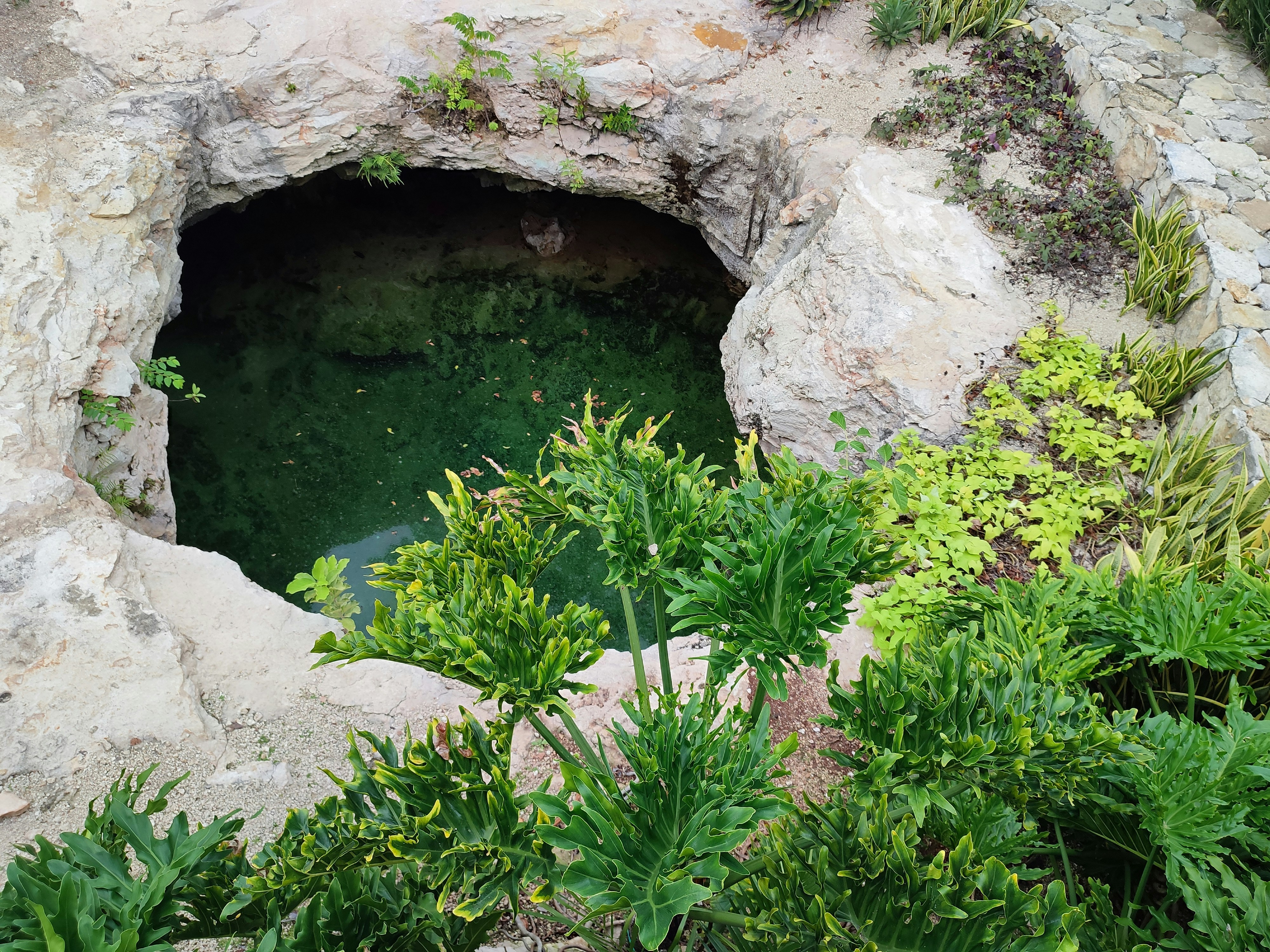A small pond in a stone tunnel photo – Free México Image on Unsplash