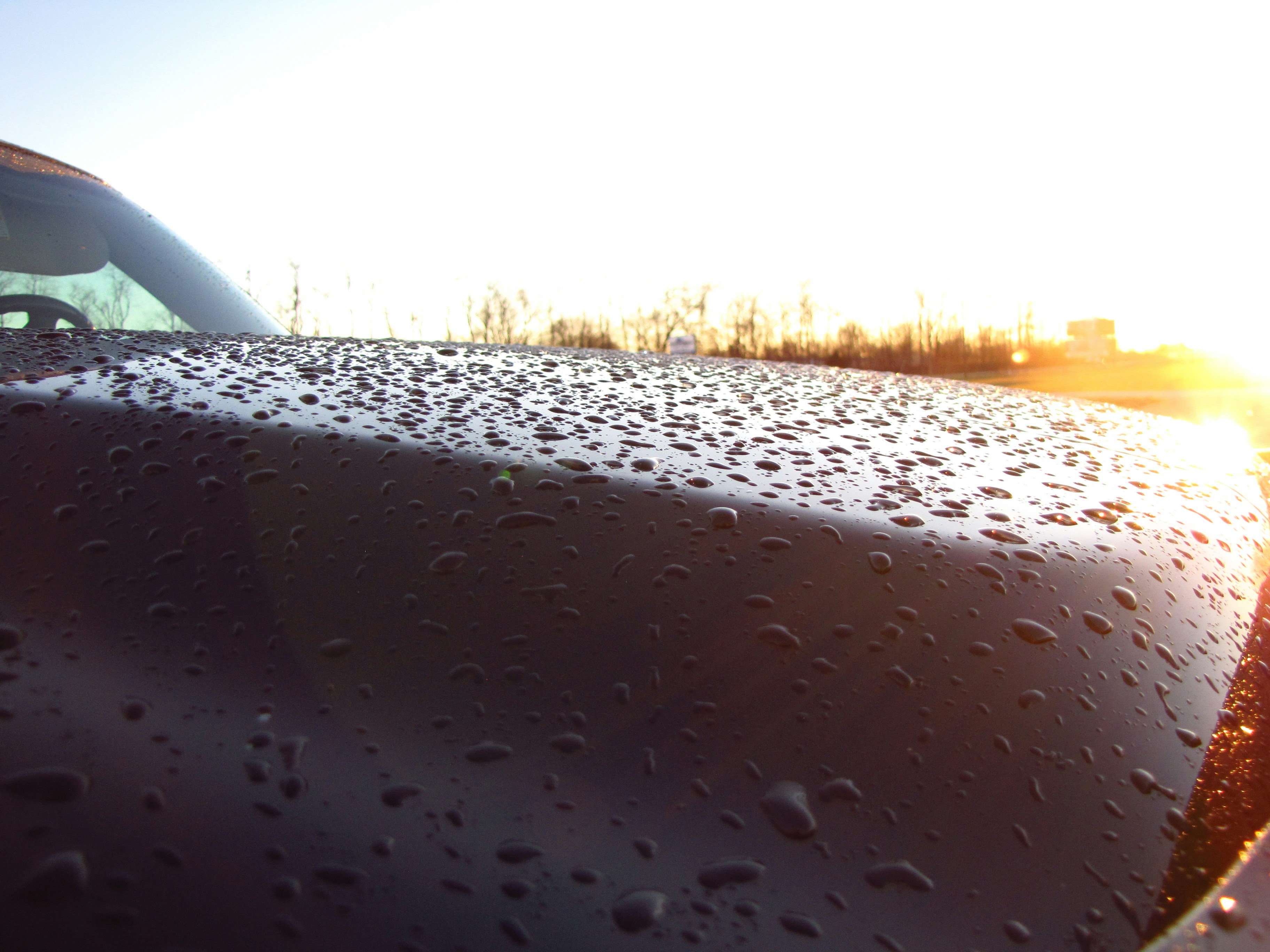 Dew-kissed Hood at Dusk: Sunset Reflections on a Rain-Slick Car
