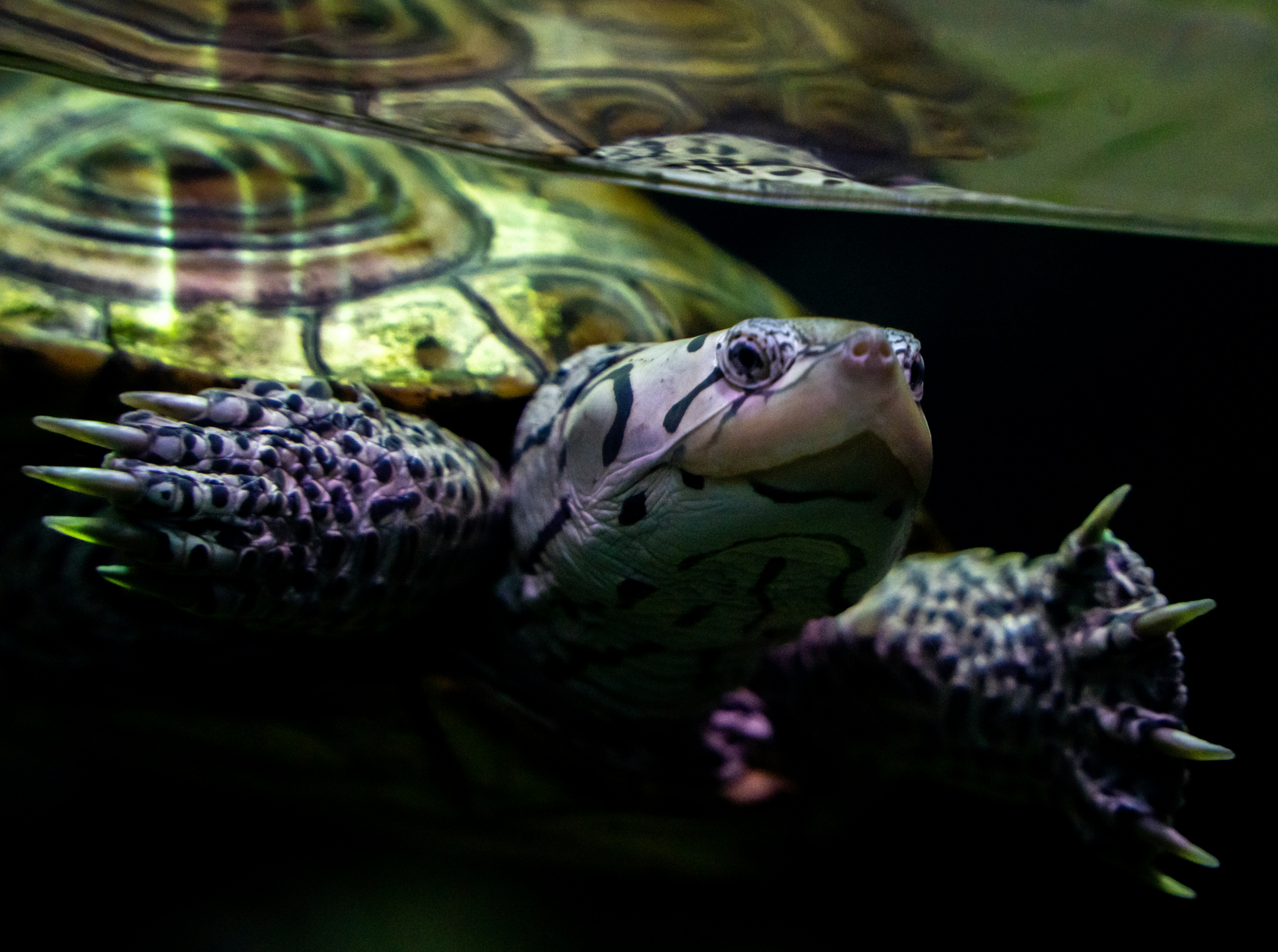 Photo by mana5280 with Sony Alpha 1