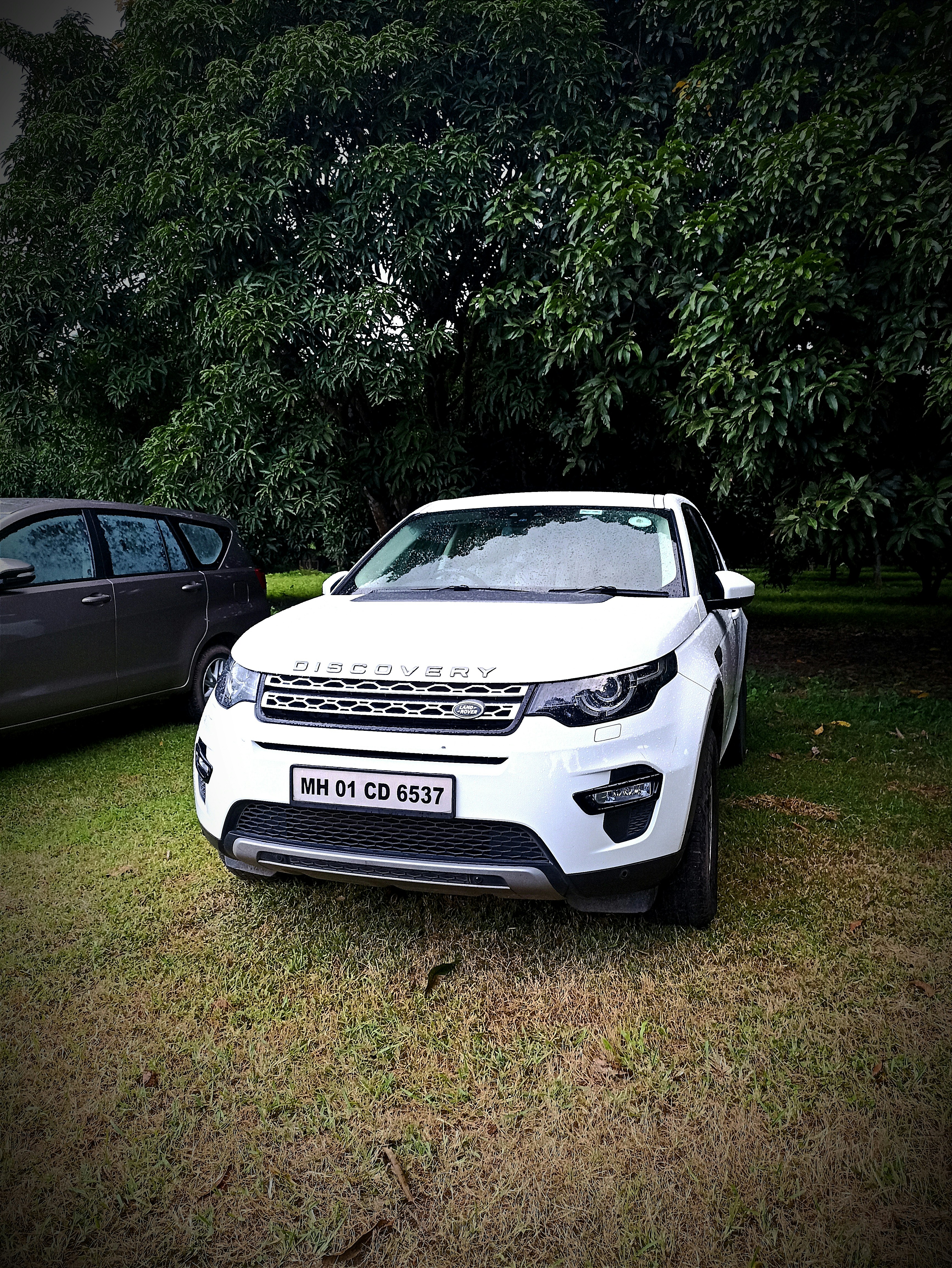 White Discovery SUV Anchored on Park Grass Beneath a Verdant Canopy