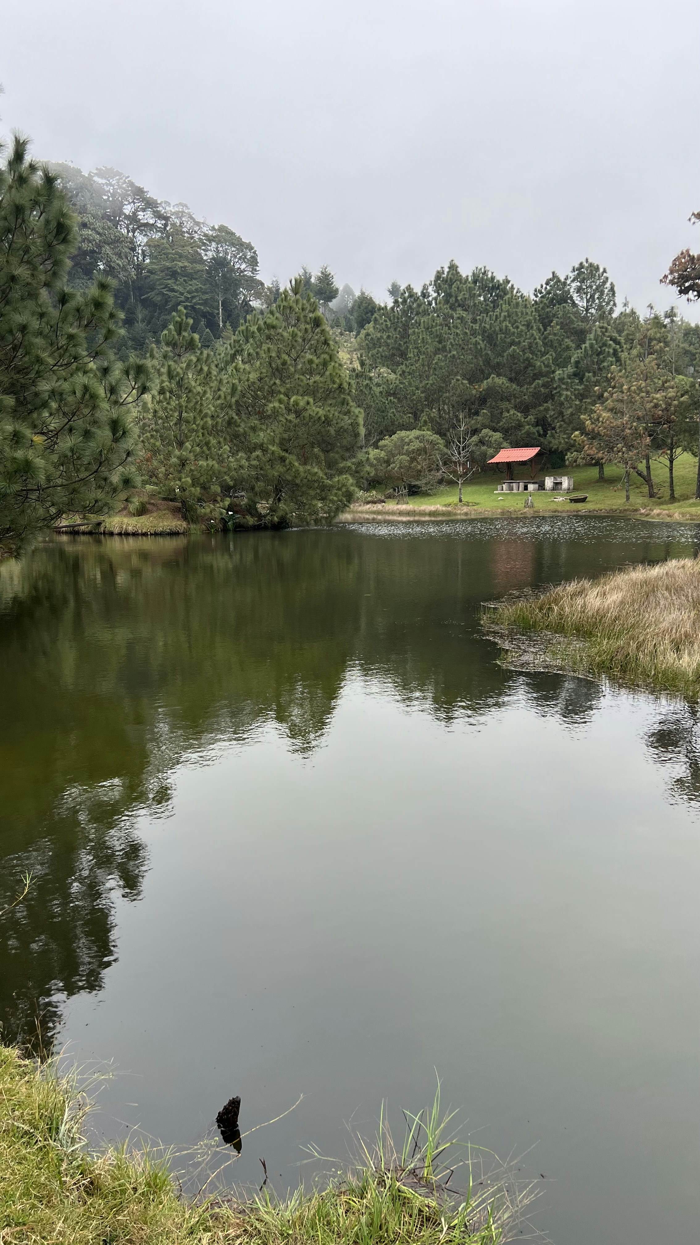 Photo by Gustavo Garcia with Apple iPhone 13 Pro